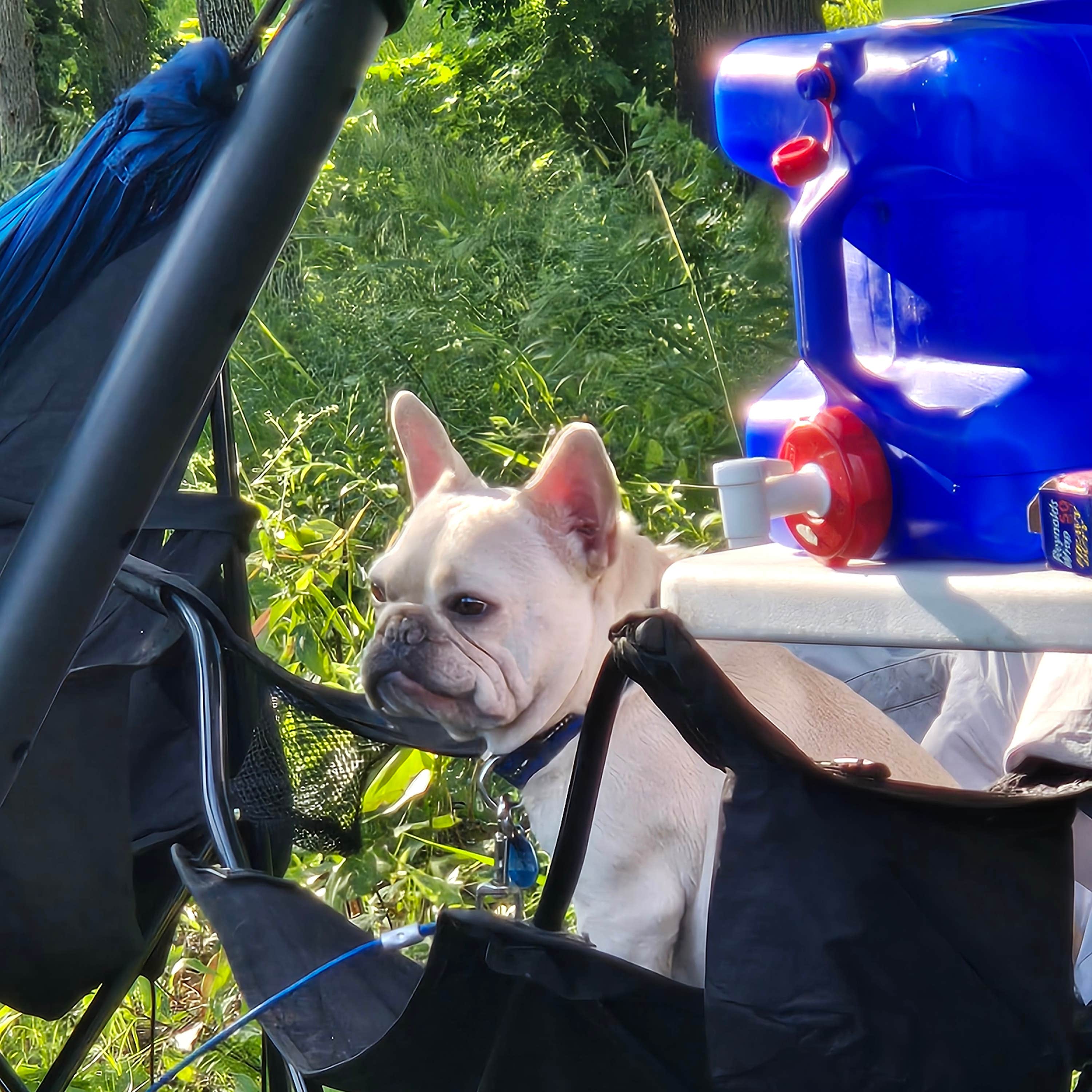 Hermitage Area Campground — Pomme de Terre State Park | Pittsburg, Missouri