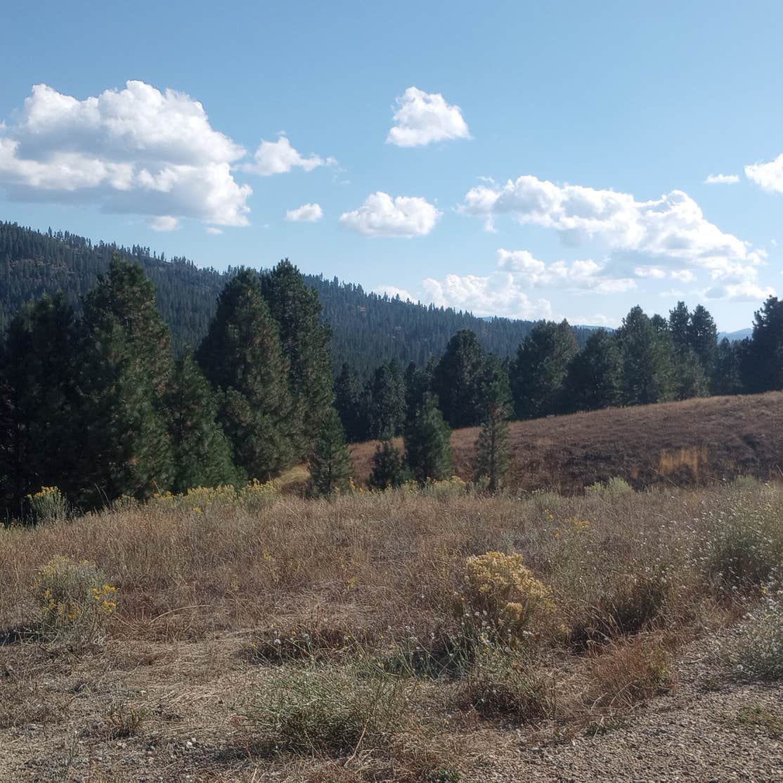 Herrick Reservoir Access Camping | Cascade, Idaho