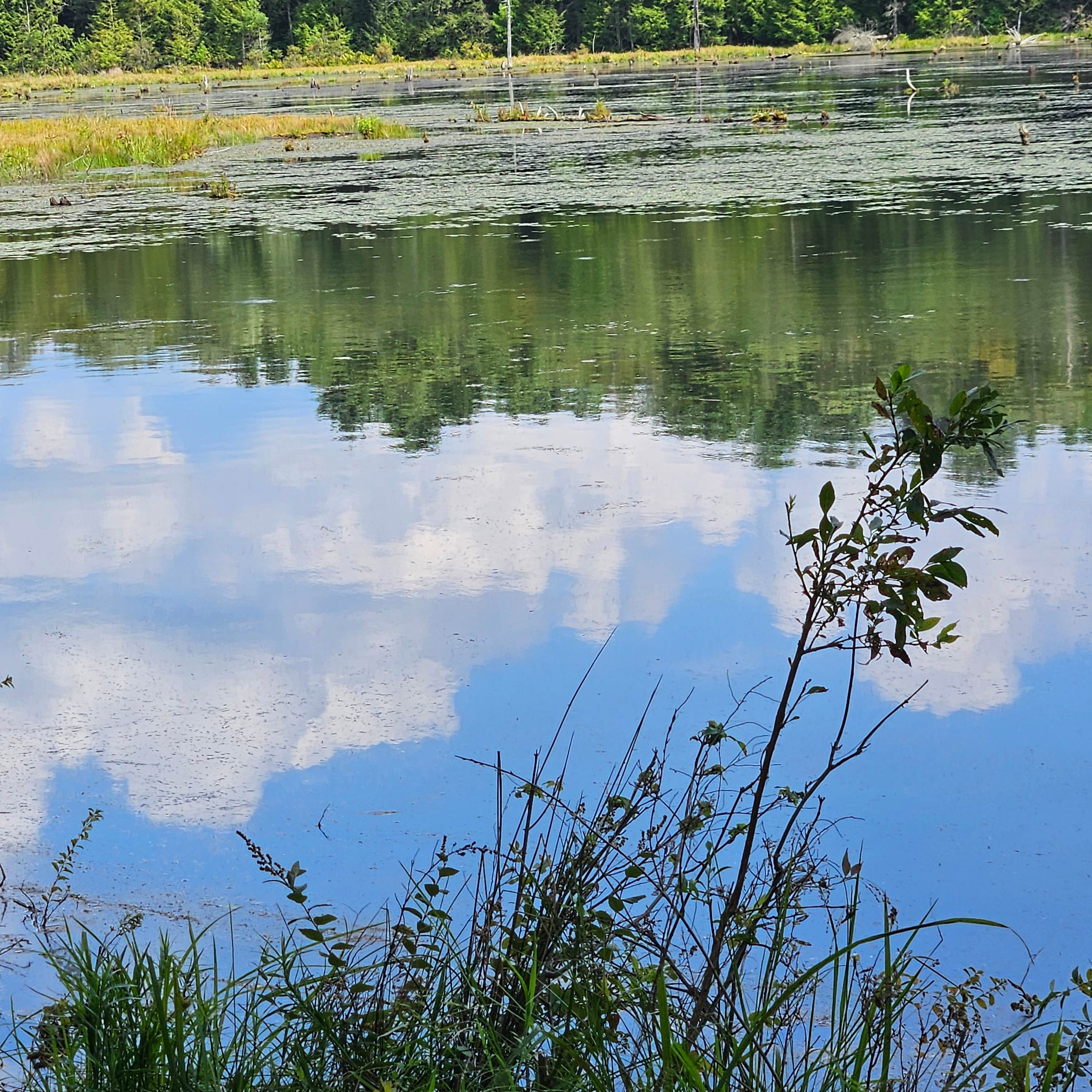 Hickok Brook Camping | Barryville, New York