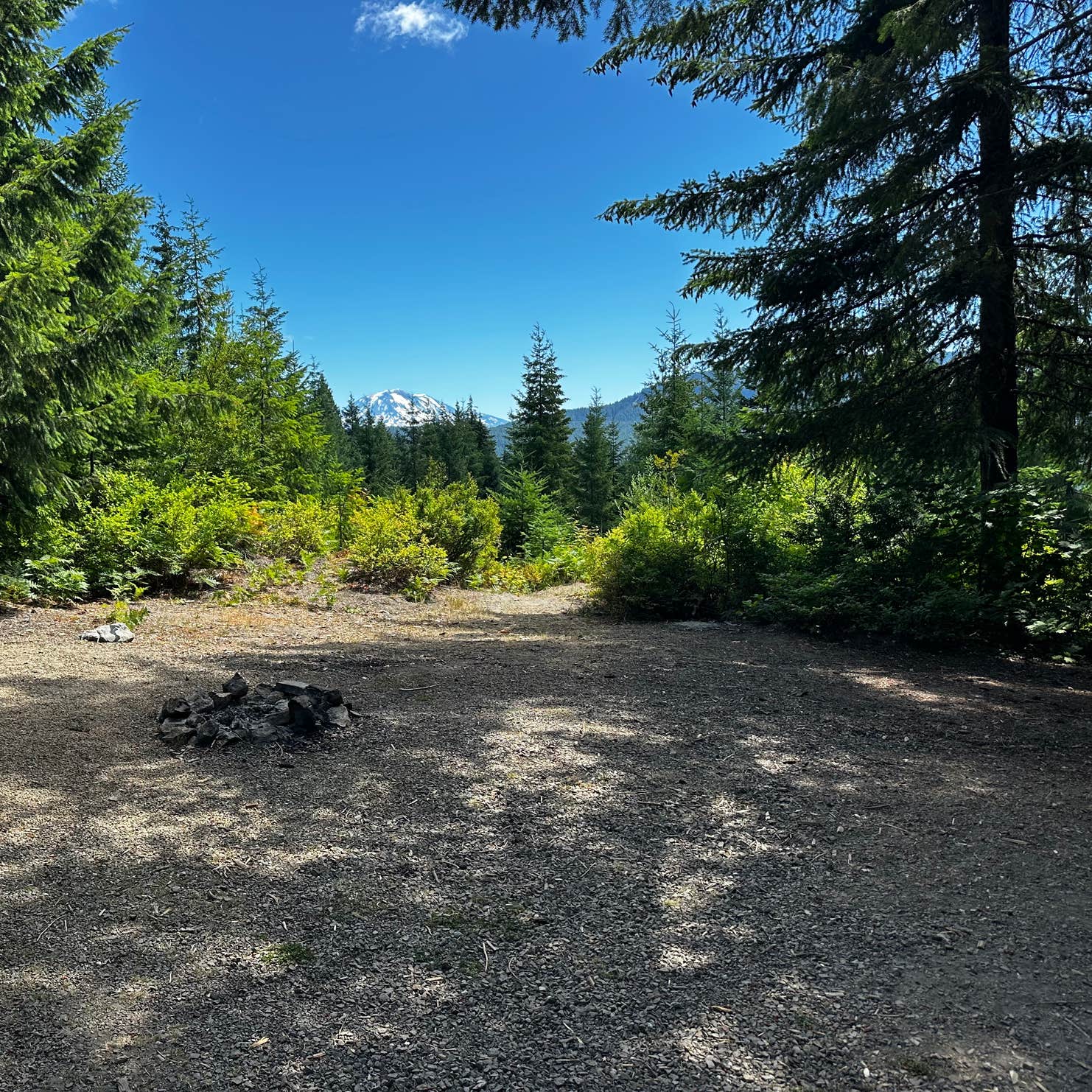 Hidden St Helens Gem Camping | Cougar, Washington
