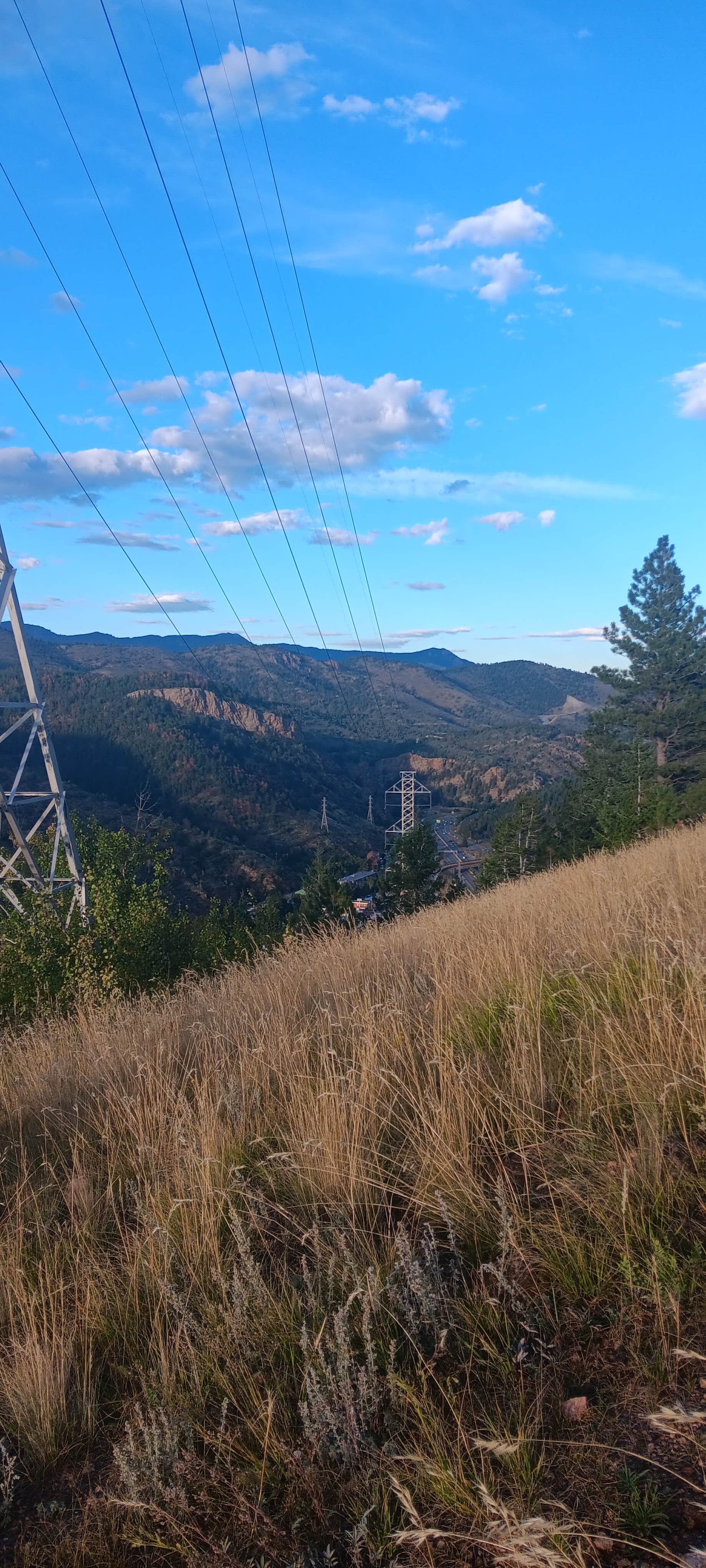 Hidden Wilderness Roadside Camp | Idaho Springs, CO
