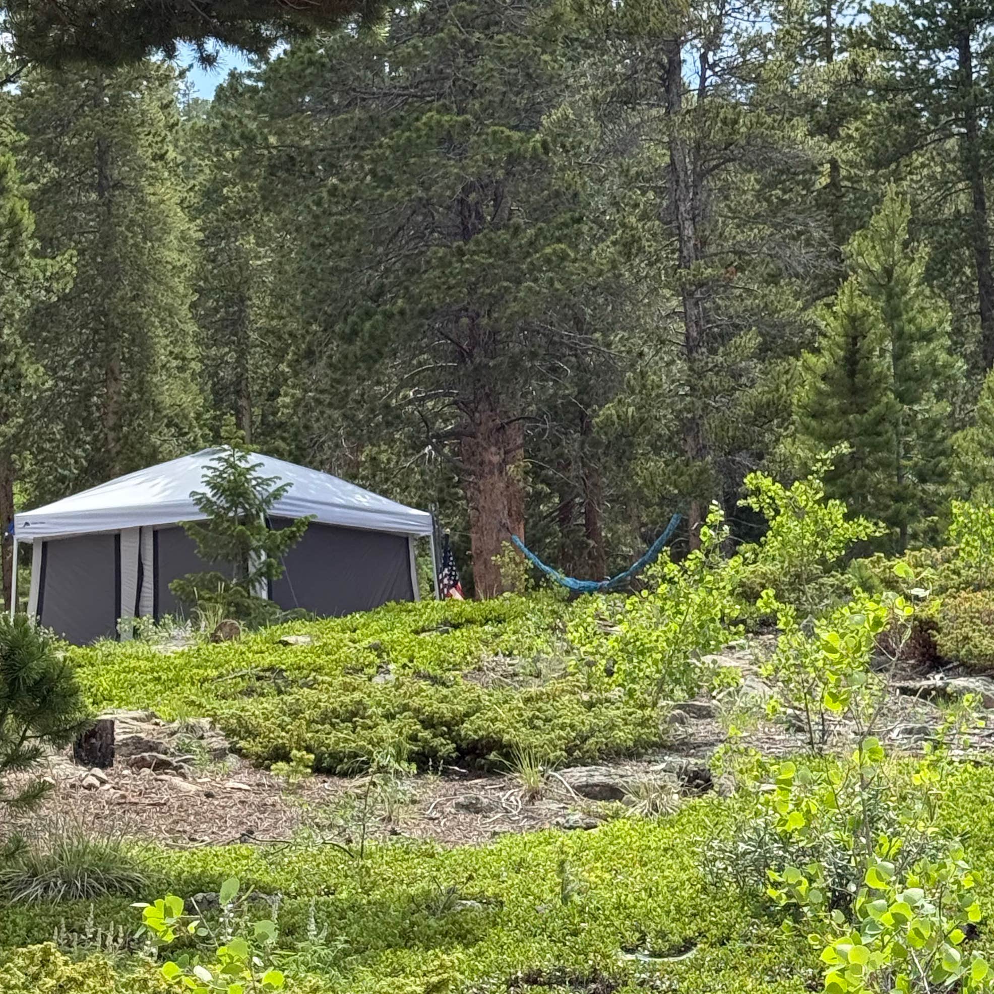 Hidden Wilderness Roadside Camp #1 | Idaho Springs, Colorado