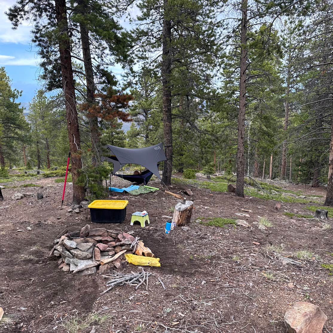 Hidden Wilderness Roadside Camp #1 | Idaho Springs, Colorado