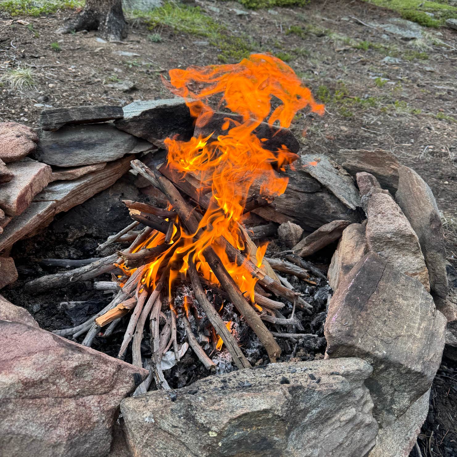 Hidden Wilderness Roadside Camp #1 | Idaho Springs, Colorado