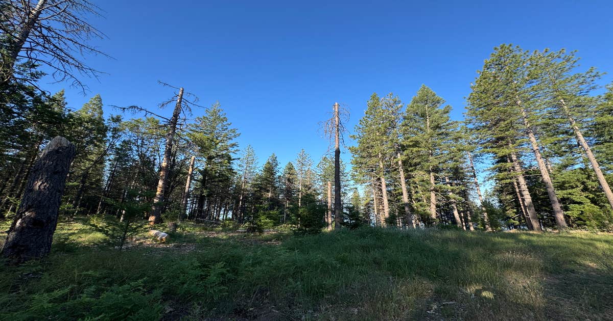 High Valley Rd Dispersed Camping | Nice, California