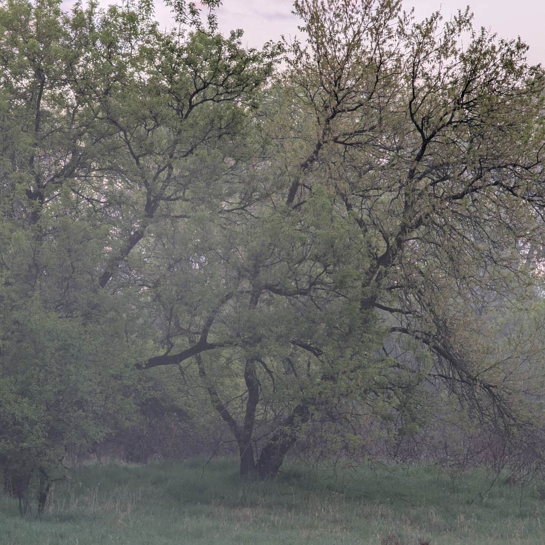 Highland State Recreation Area — Highland Recreation Area Camping ...