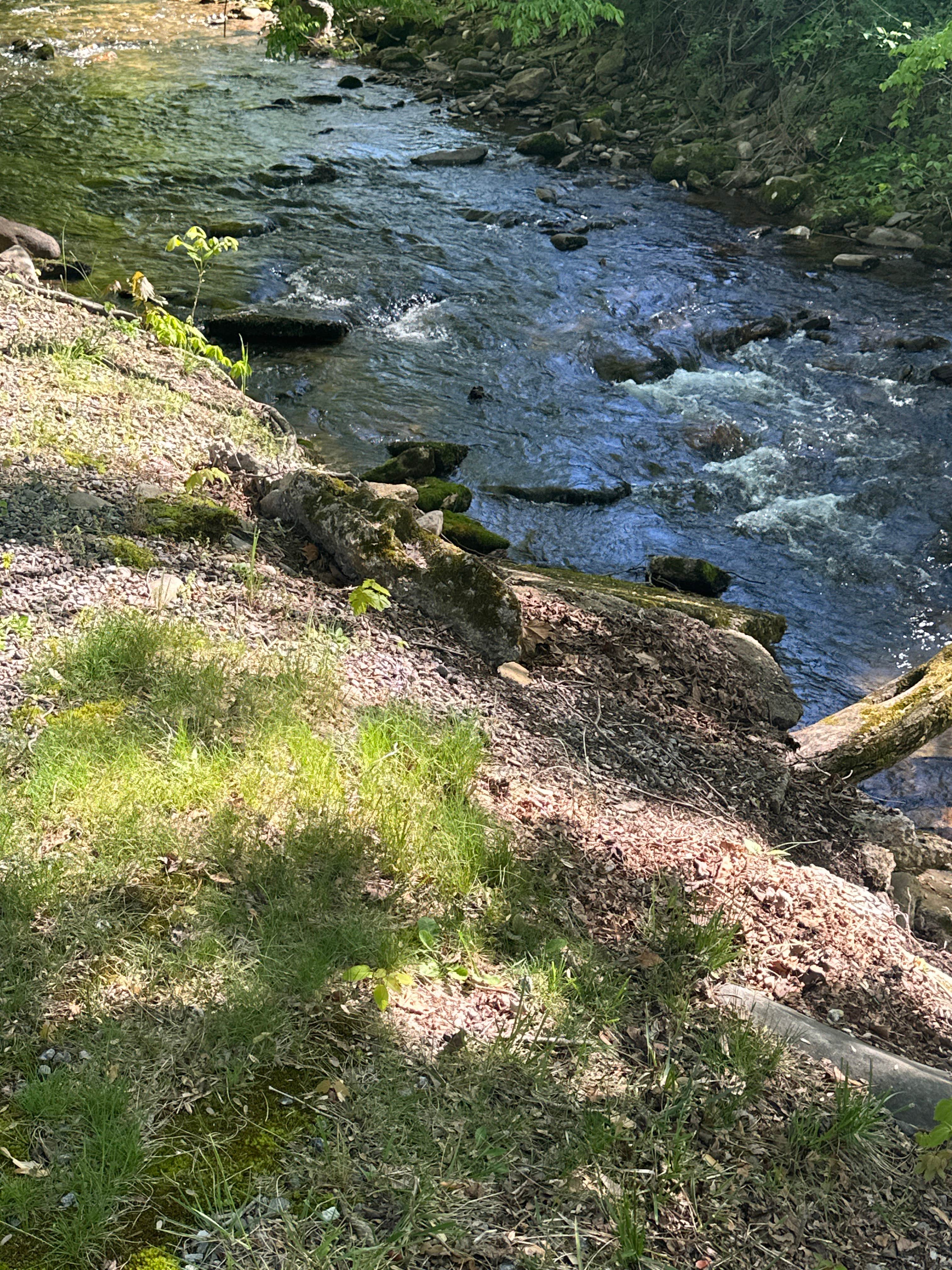 Hillbilly Campground | Maggie Valley, NC