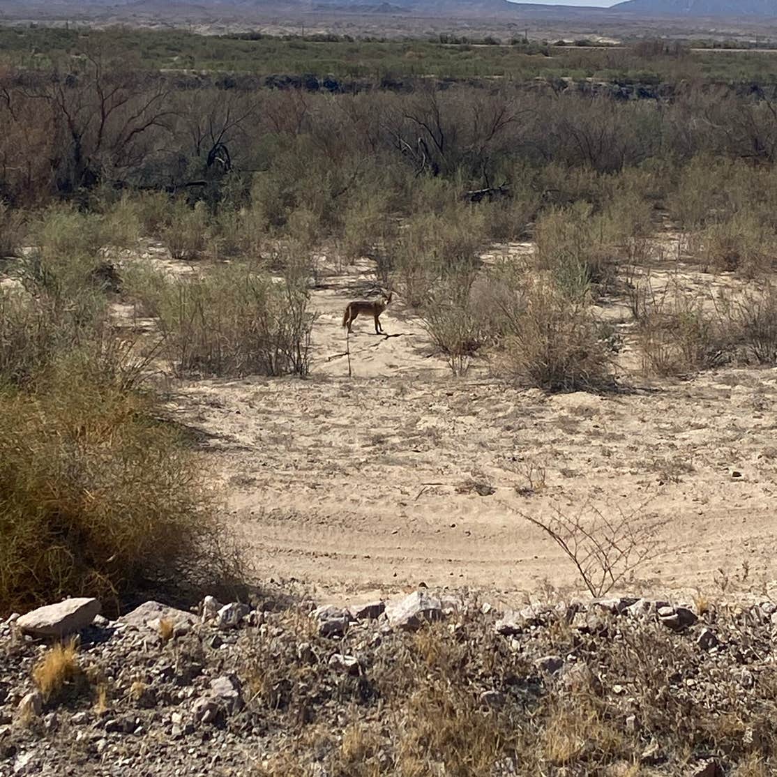Hippie Hole Camping Area | Cibola, Arizona