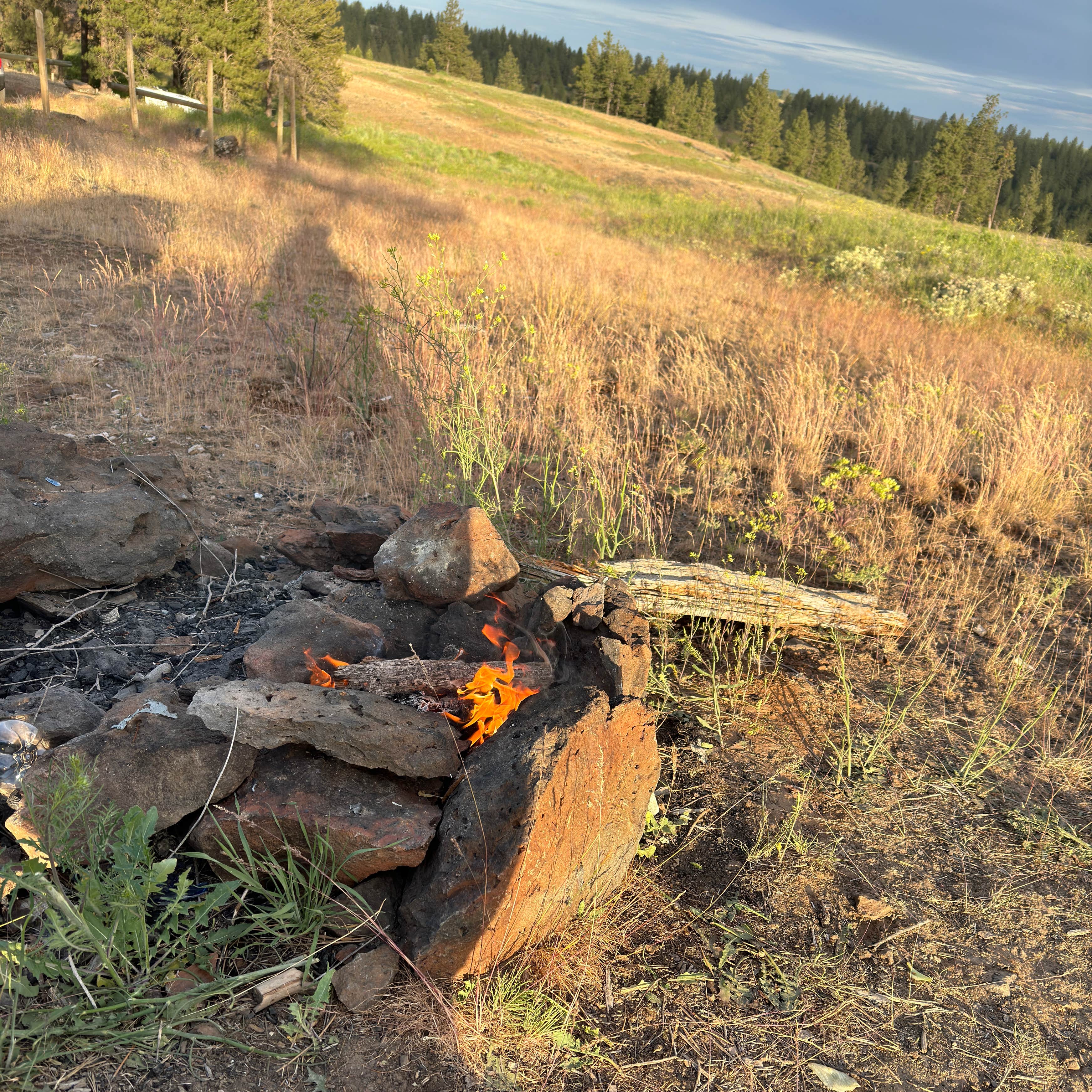 Hog Lake Campground | Sprague, WA