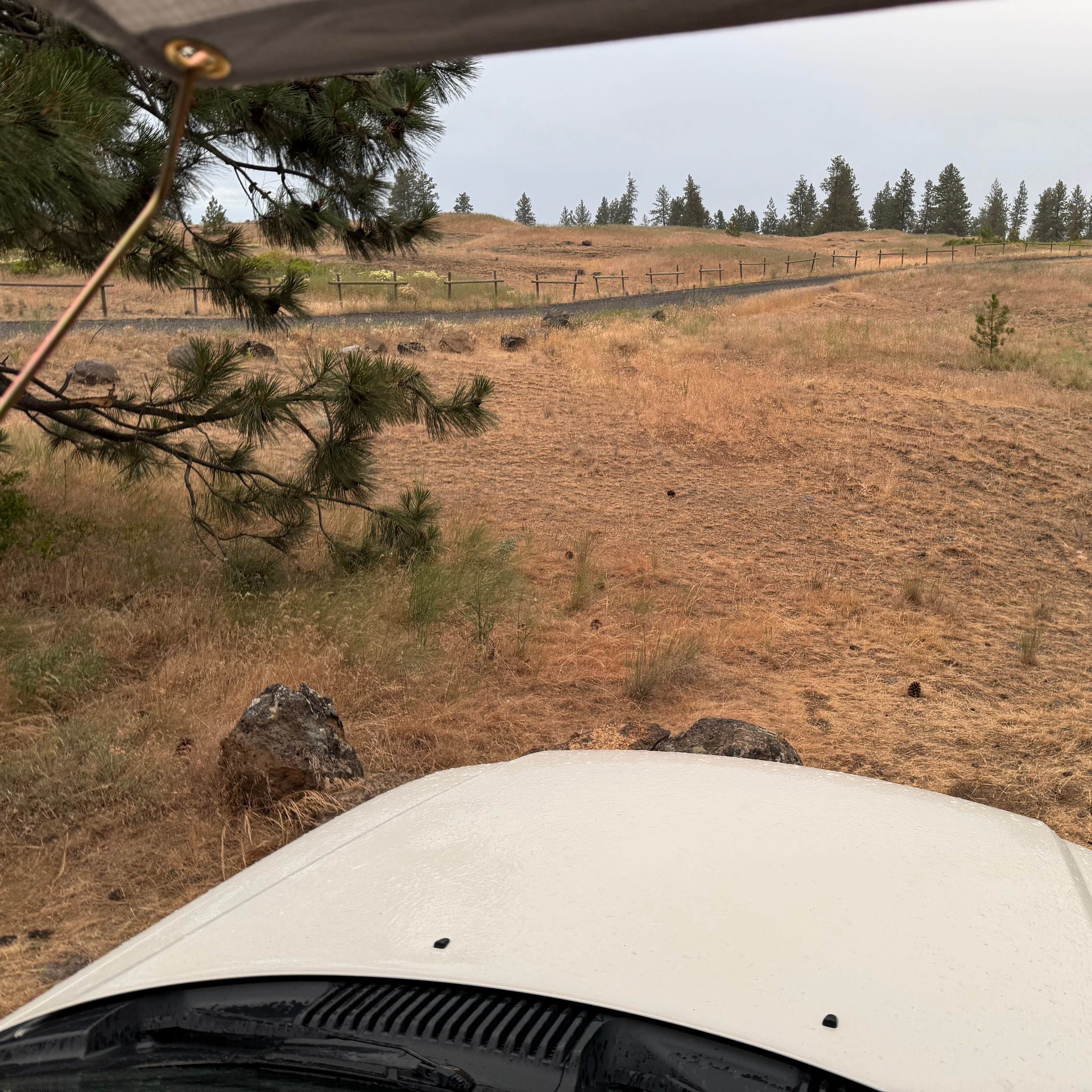 Hog Lake Campground | Sprague, Washington