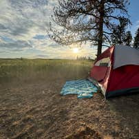Hog Lake Campground | Sprague, WA