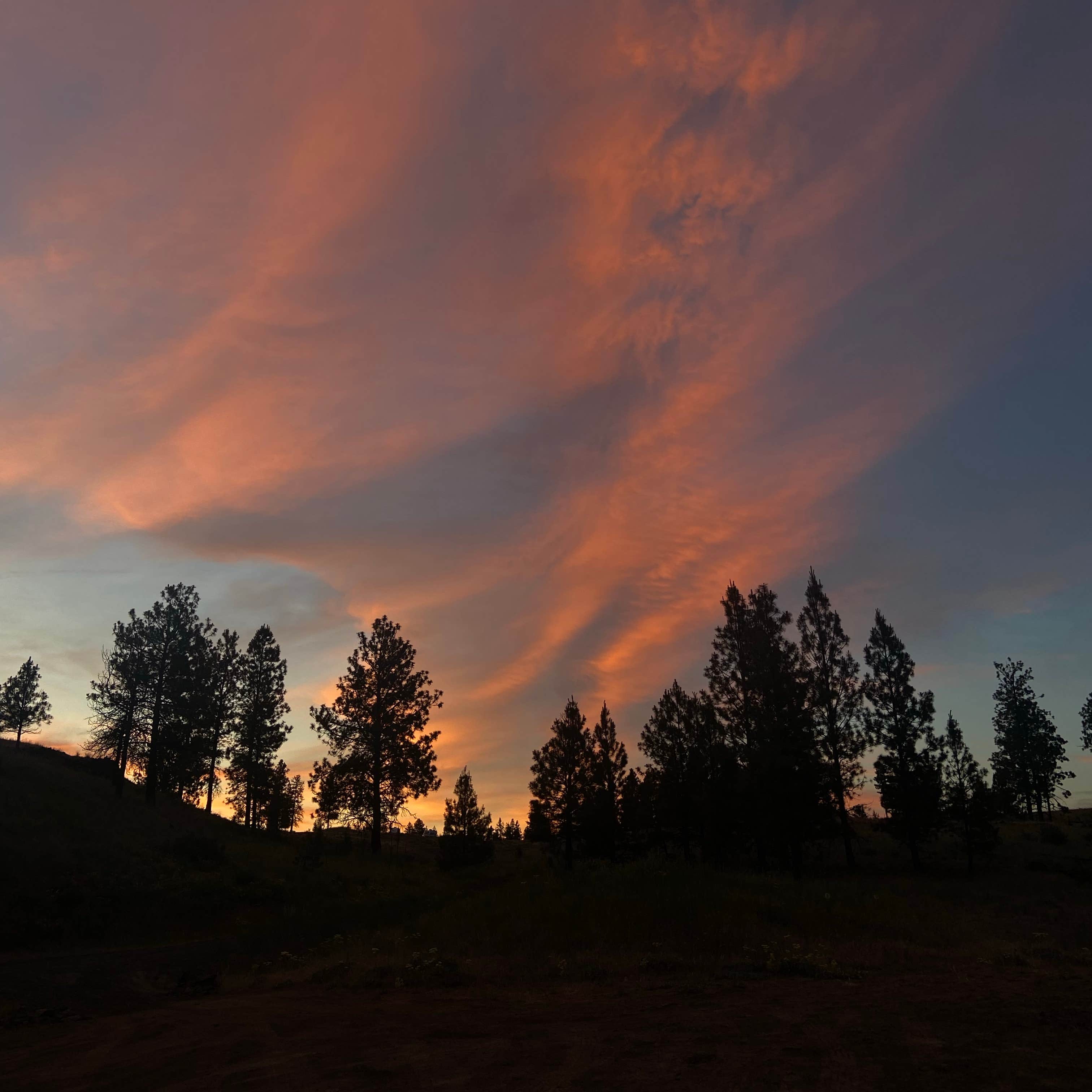 Hog Lake Campground | Sprague, WA