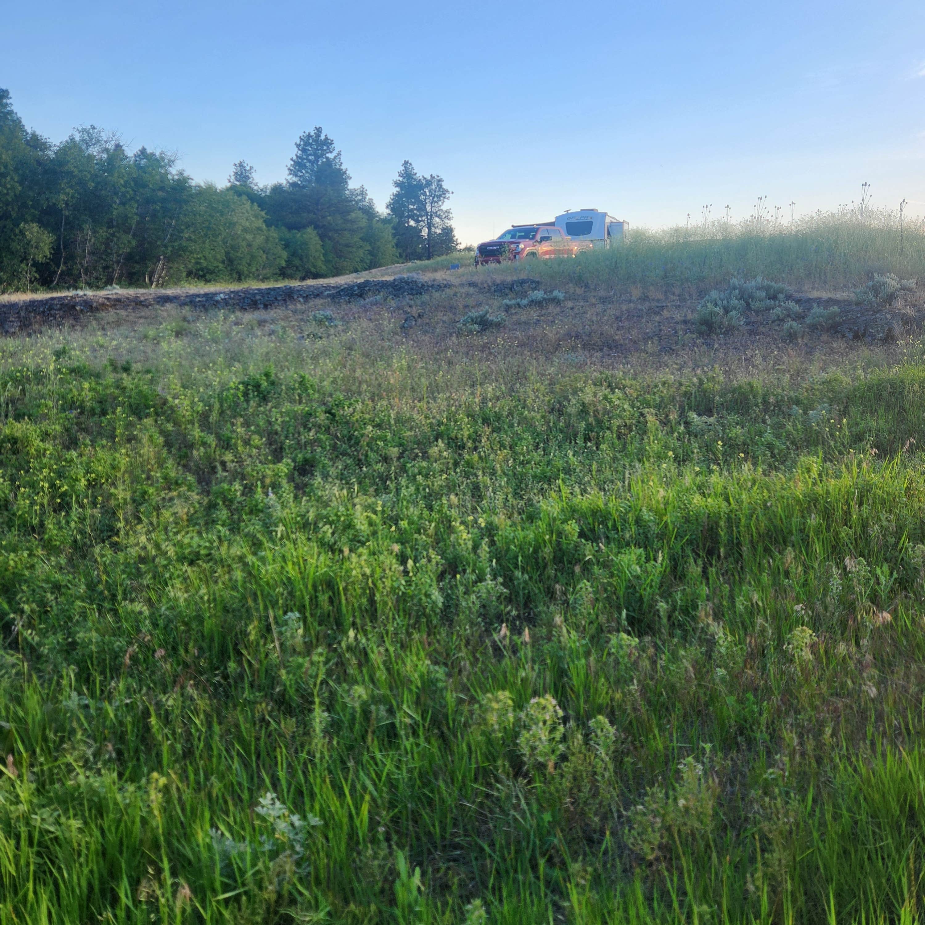 Hog Lake Campground | Sprague, WA