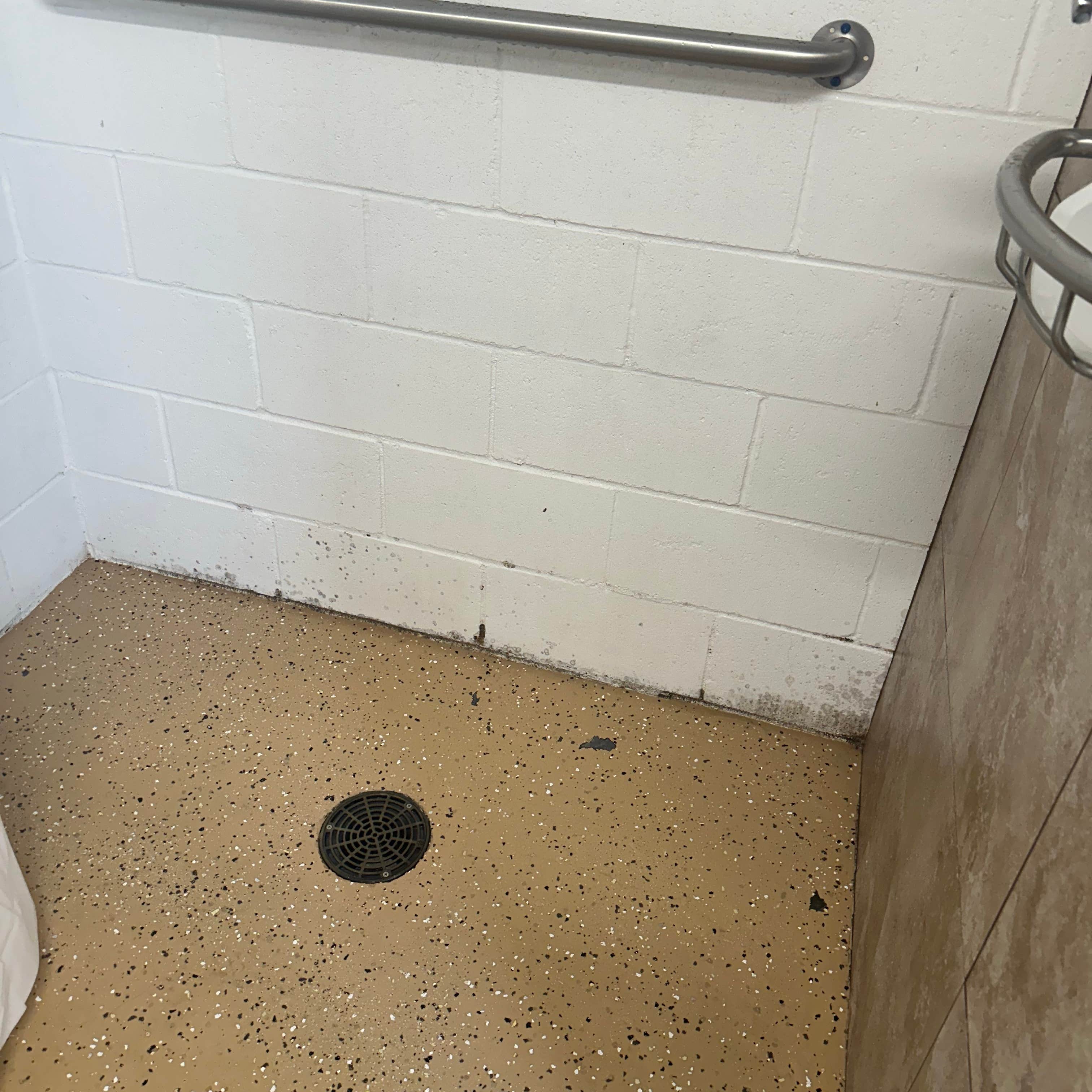 Hog Valley RV & Treehouse Resort | Greenland, Arkansas