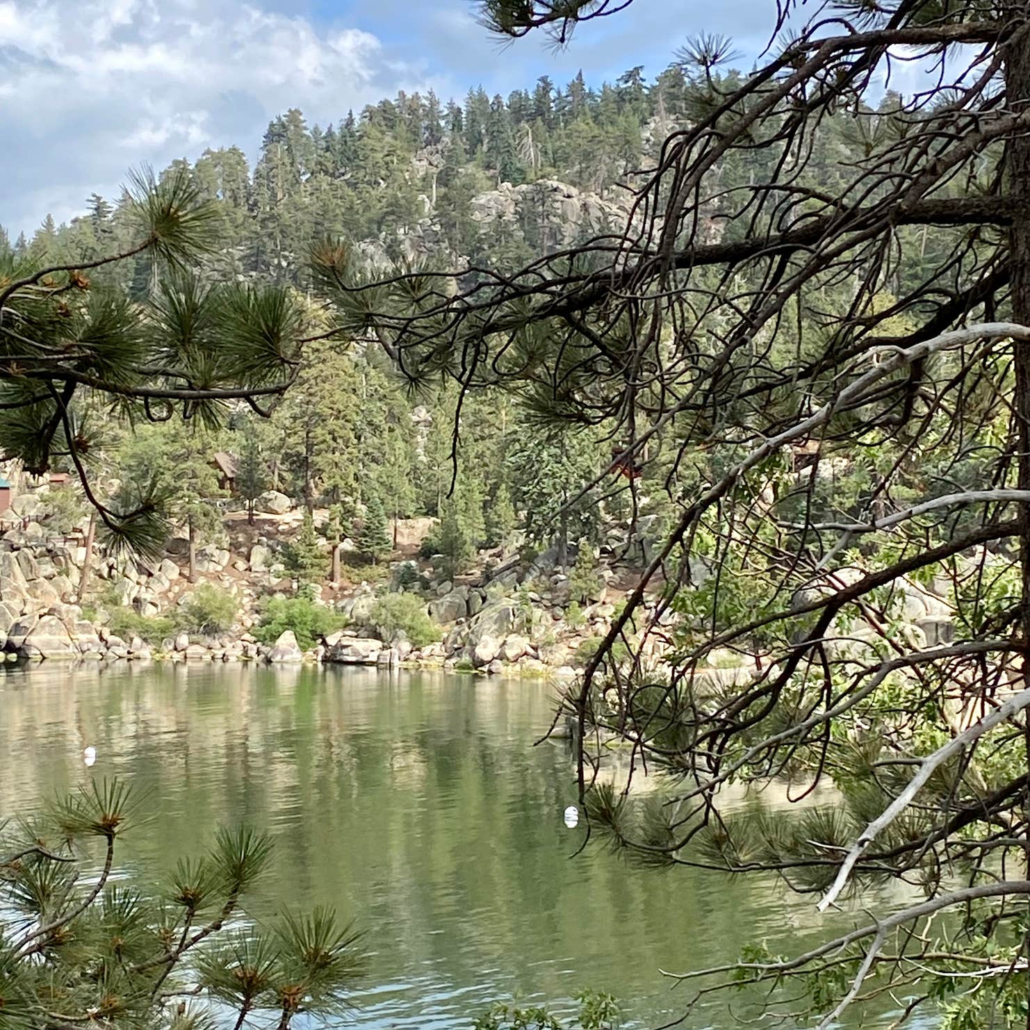 Holcomb Valley Climbers Camp | Big Bear Lake, CA