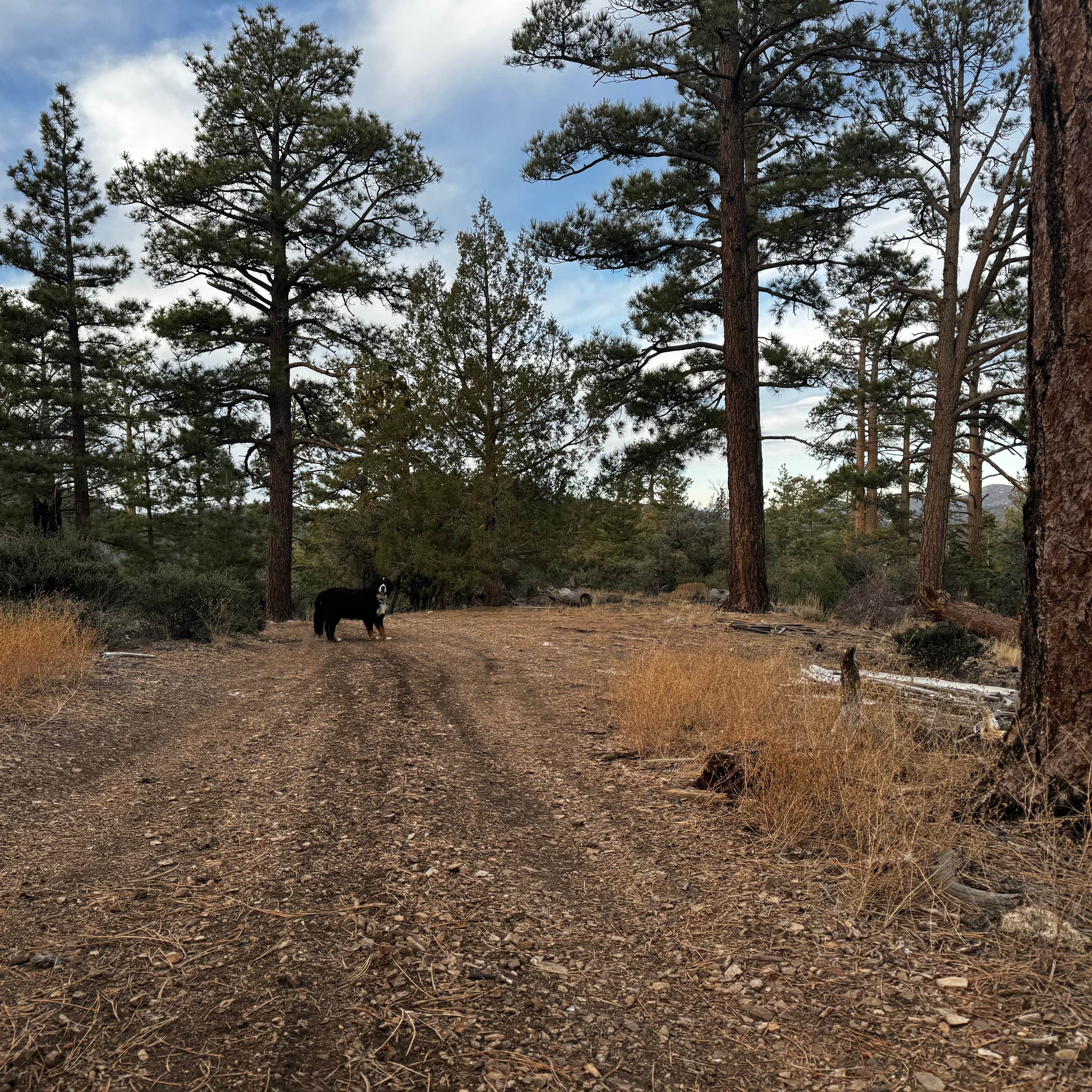 Holcomb Valley Climbers Camp | Big Bear Lake, California