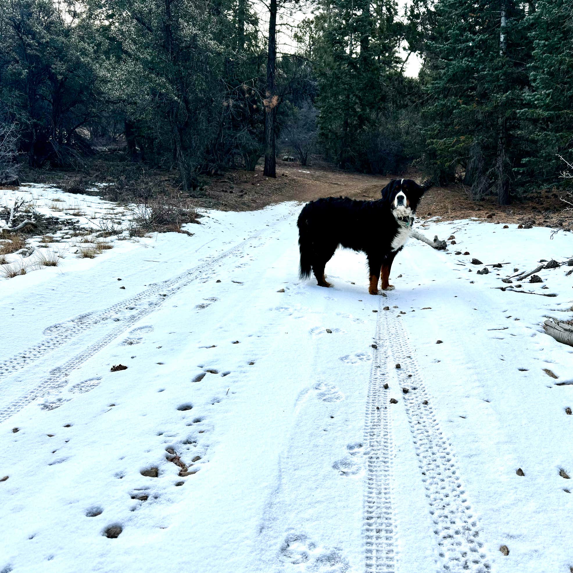 Holcomb Valley Climbers Camp | Big Bear Lake, California