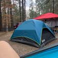 Holly Point — Falls Lake State Recreation Area Camping | Wake Forest, NC