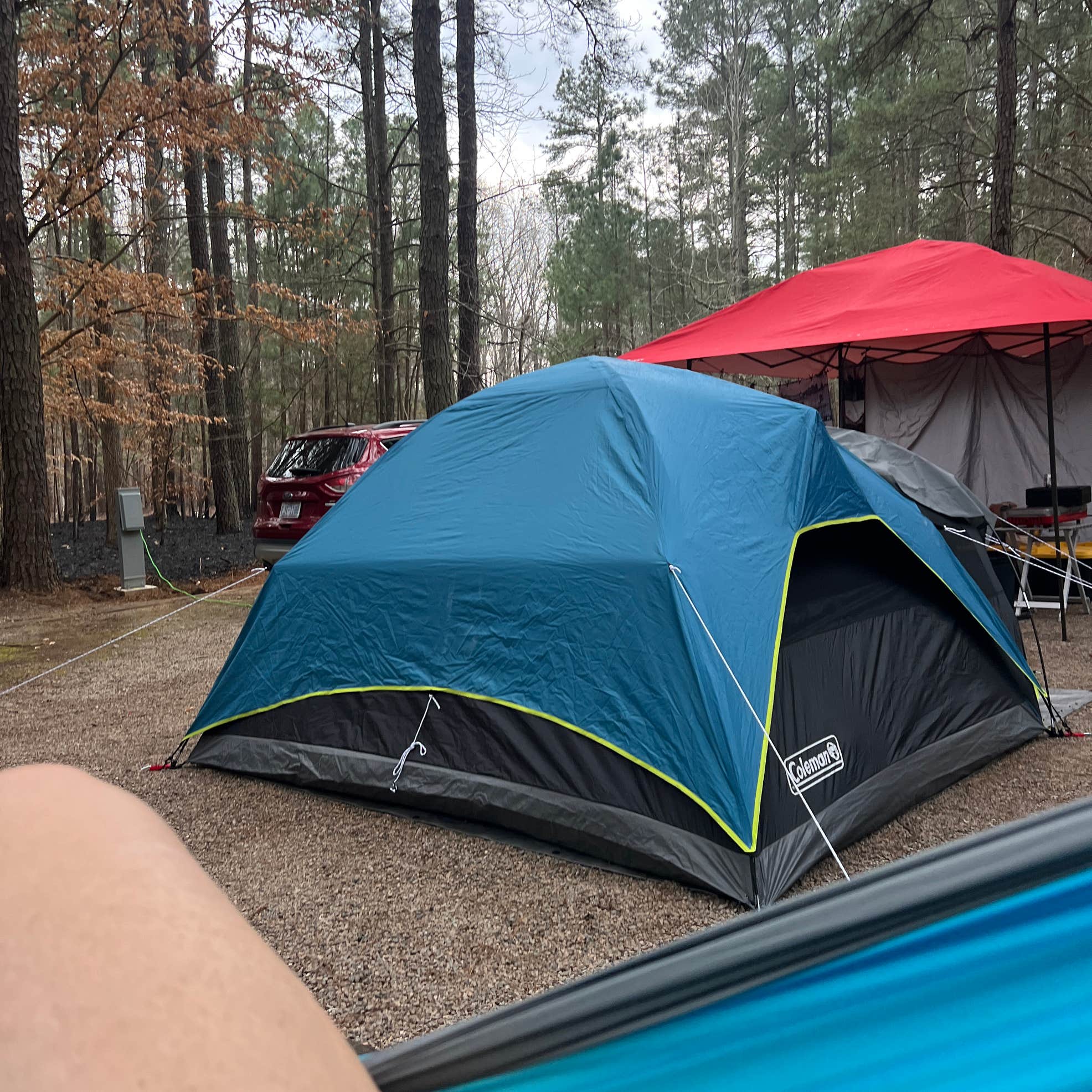 Holly Point — Falls Lake State Recreation Area Camping | Wake Forest, NC