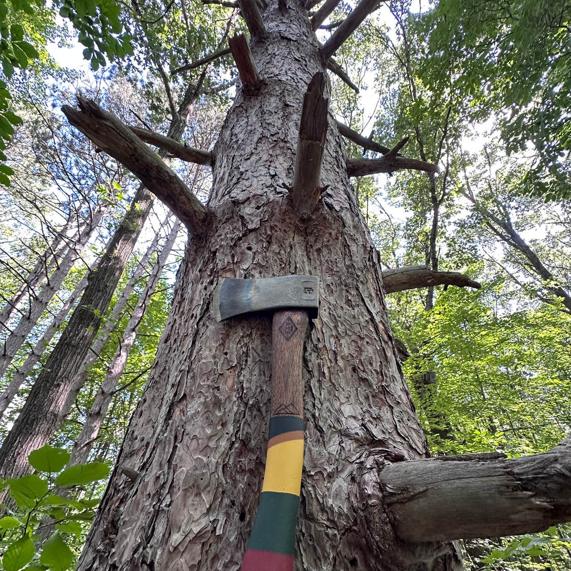 McGinnis Lake Modern Campground — Holly Recreation Area | Ortonville ...