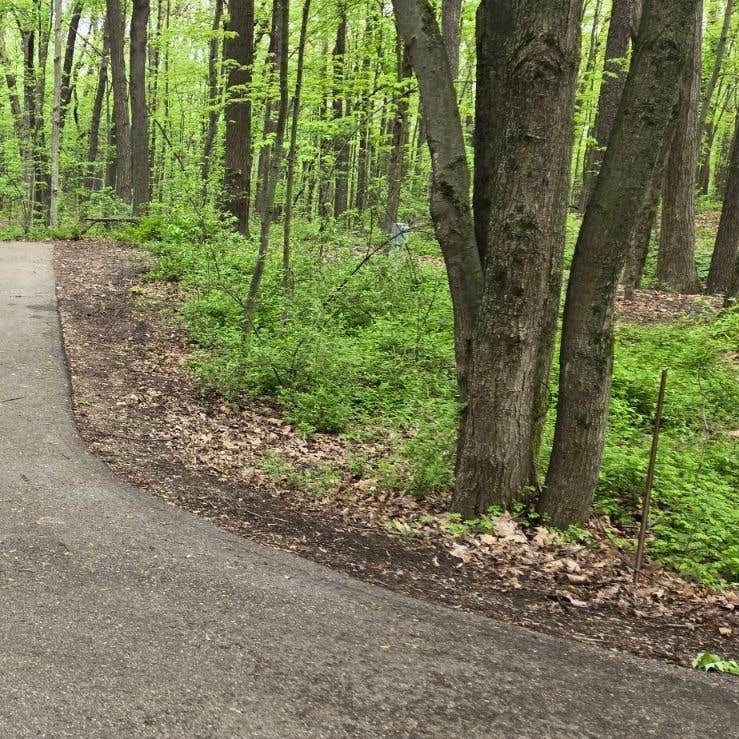 McGinnis Lake Modern Campground — Holly Recreation Area | Holly, MI