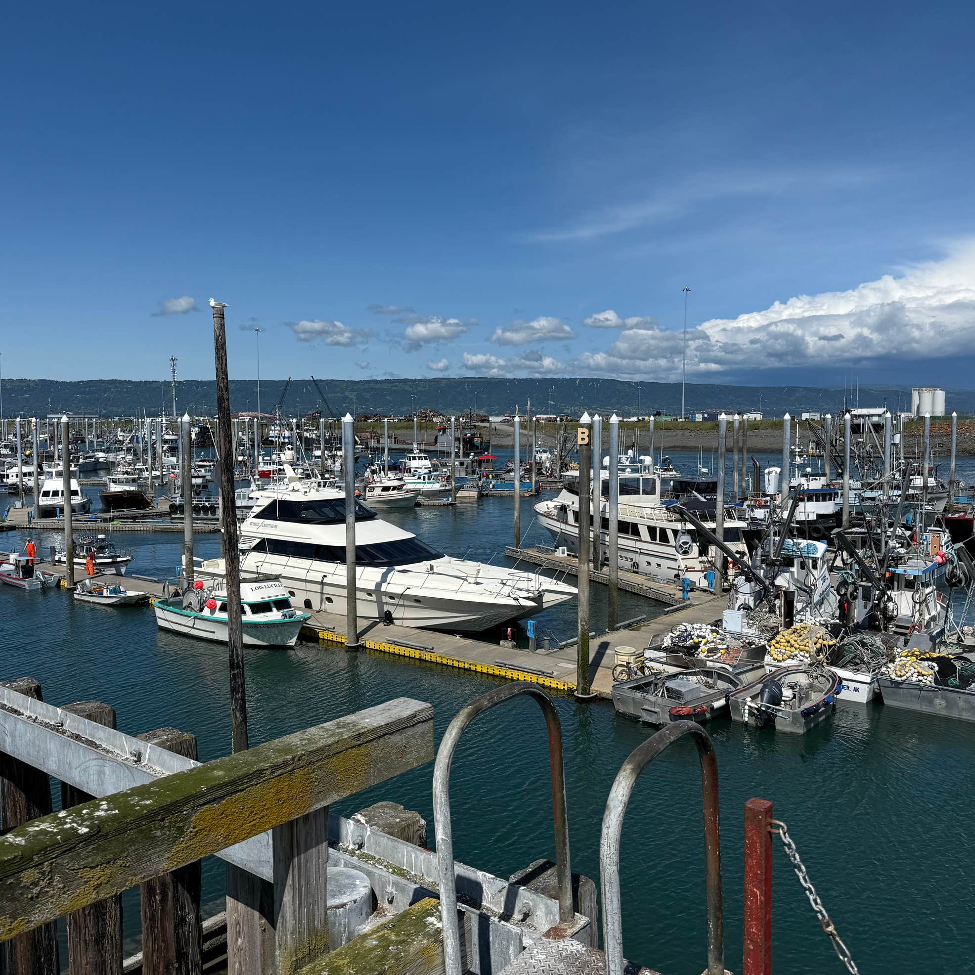 Homer Spit Campground | Homer, Alaska