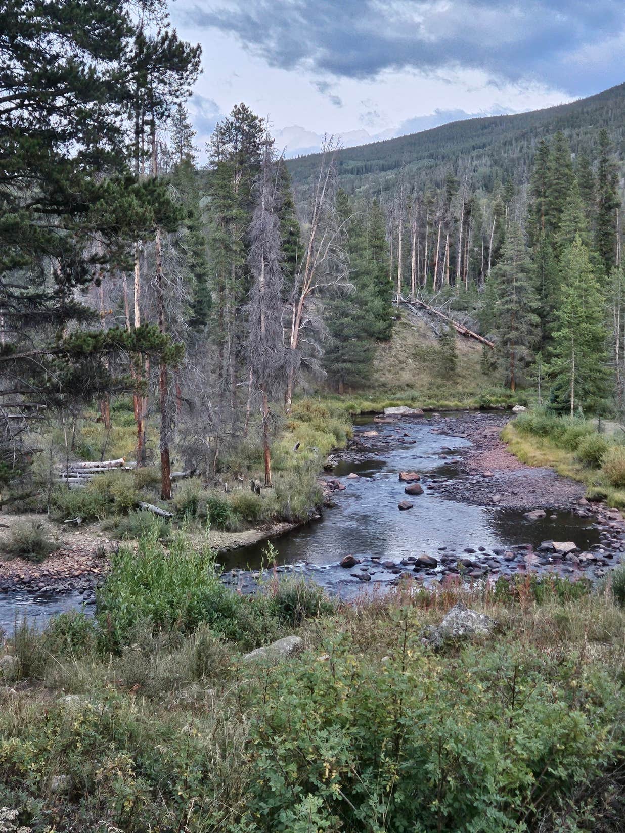 Homestake Reservoir Rd Milemarker 3 - Dispersed Camping | Red Cliff ...