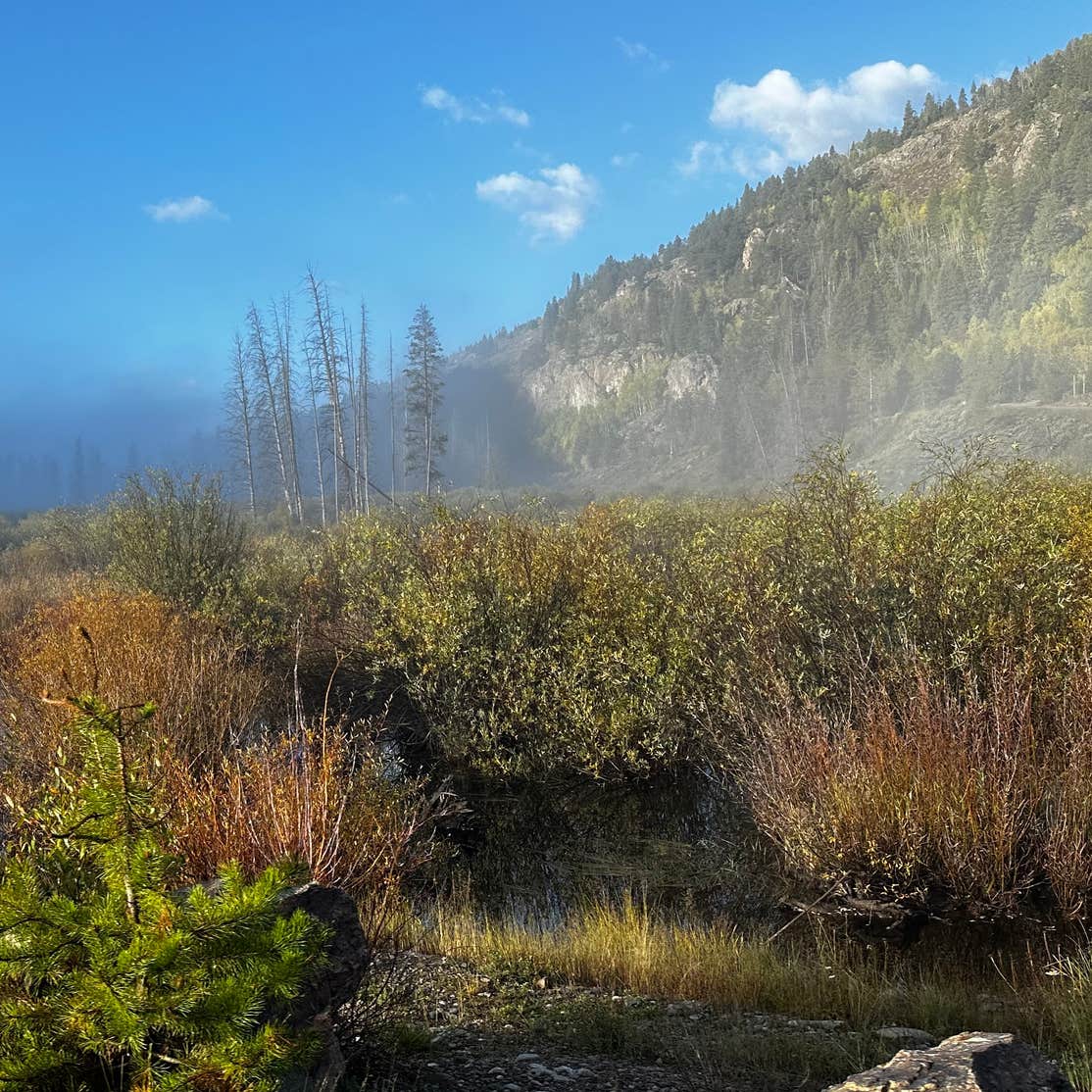 Homestake Reservoir Rd Milemarker 3 - Dispersed | Red Cliff, CO