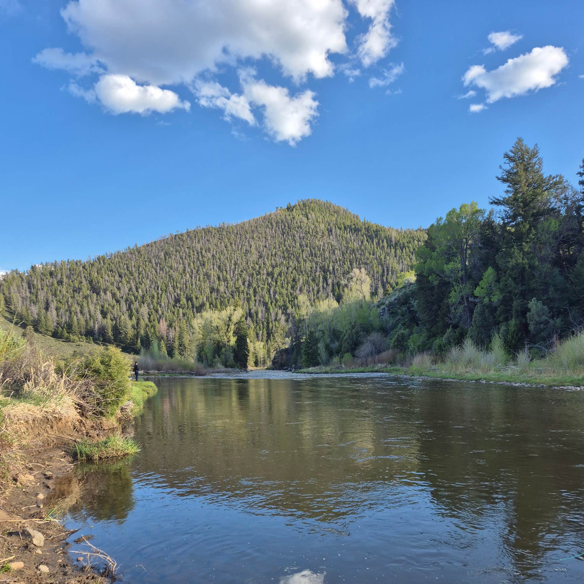 Hot Sulphur Springs SWA - Joe Gerrans Unit Camping | Parshall, Colorado