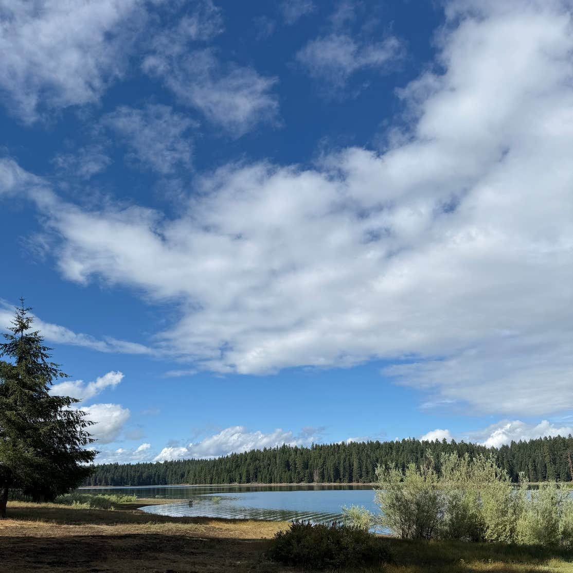 Jackson County Howard Prairie Lake Resort Camping | Ashland, Oregon