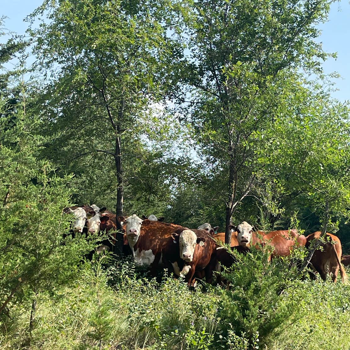 Menno Lake Camping - Huber Campground | Menno, SD