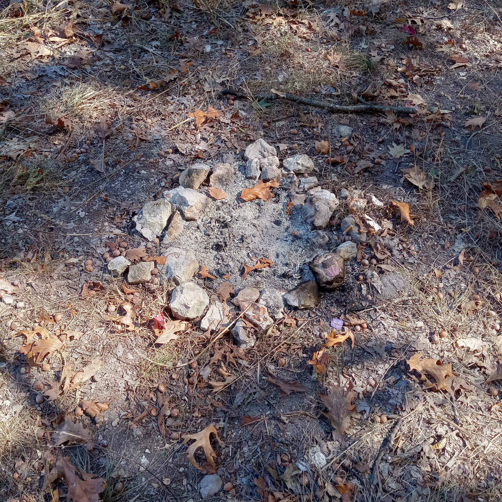 Huckleberry Ridge Conservation Area Camping | Pineville, Missouri