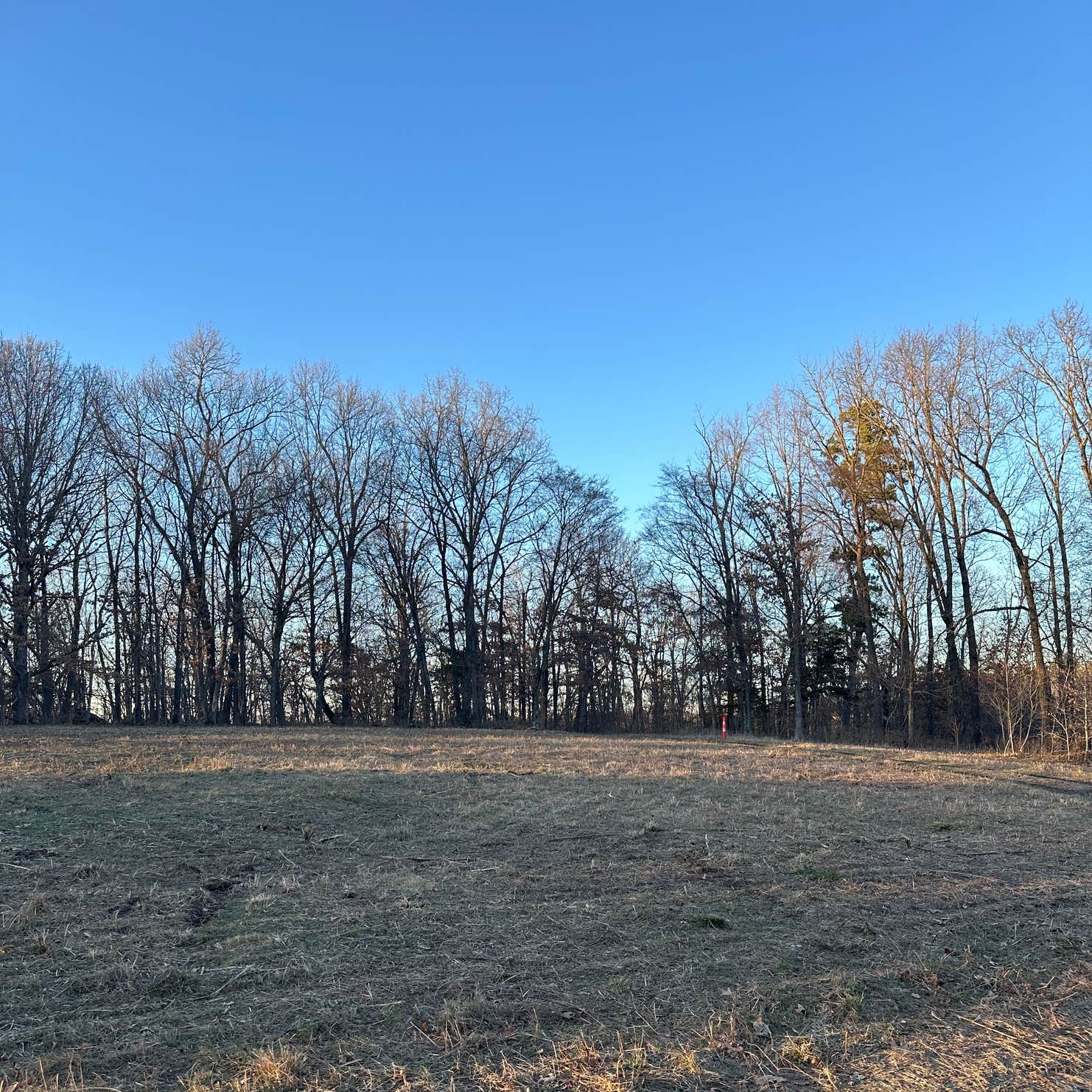 Huckleberry Ridge Conservation Area Camping | Pineville, Missouri