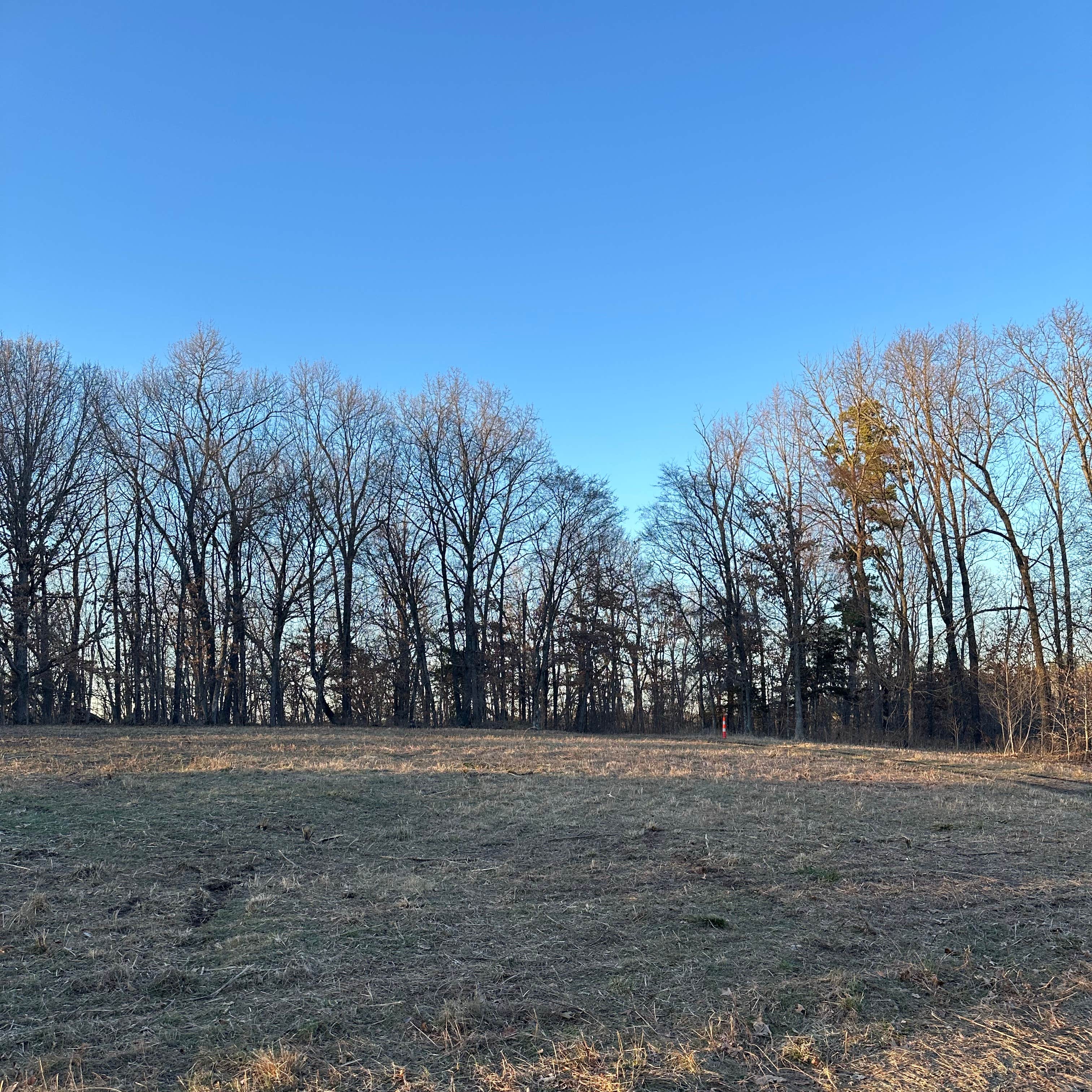 Huckleberry Ridge Conservation Area Camping | Pineville, Missouri