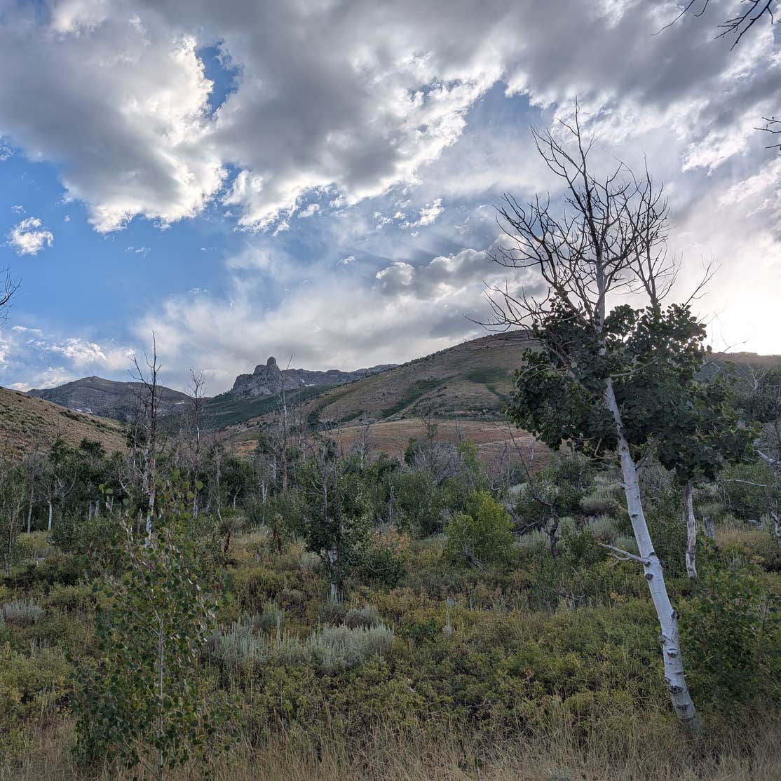 Humboldt National Forest Angel Lake Campground | Wells, Nevada