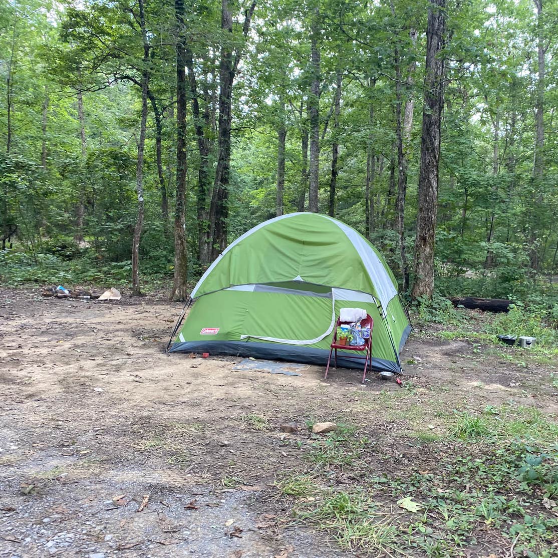 Hunter’s Check Station Campground - Prentice Cooper State Forest ...