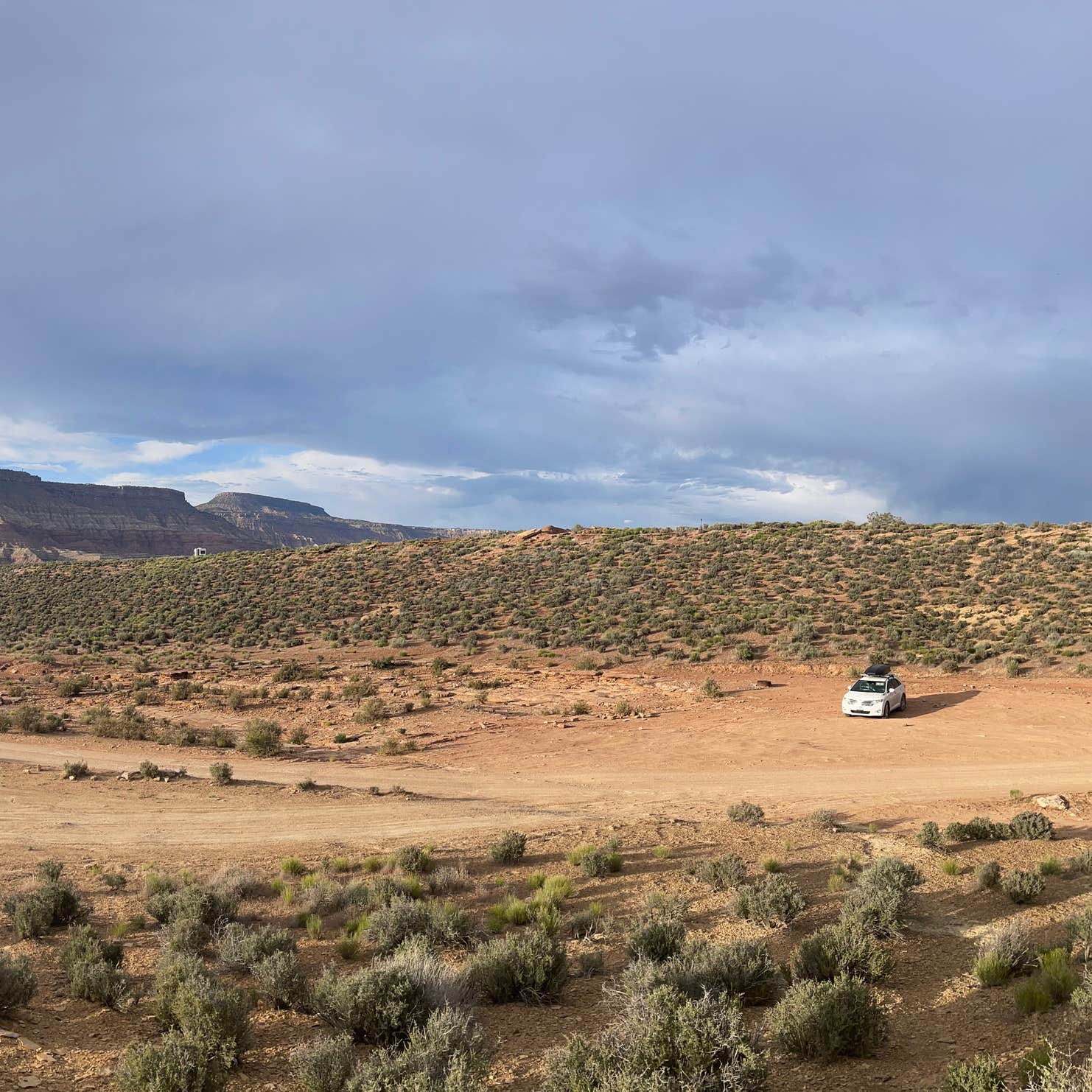Hurricane Cliffs BLM Dispersed sites 40-48 Camping | Virgin, Utah