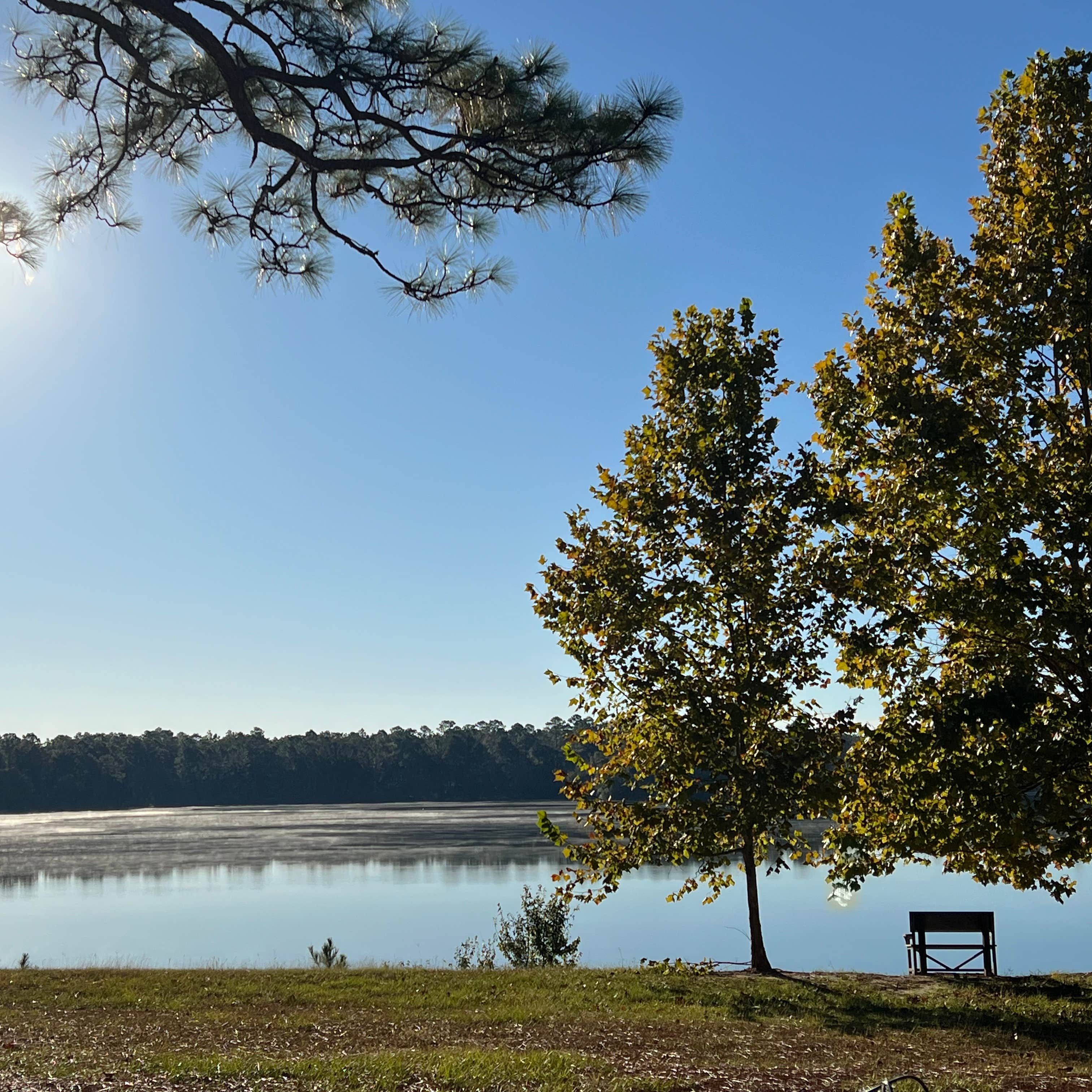 Hurricane Lake North Campground | Wing, Alabama