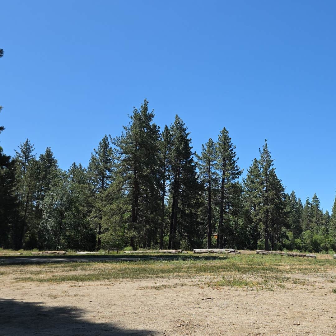 Idyllwild Regional Park Camping | Idyllwild-Pine Cove, California