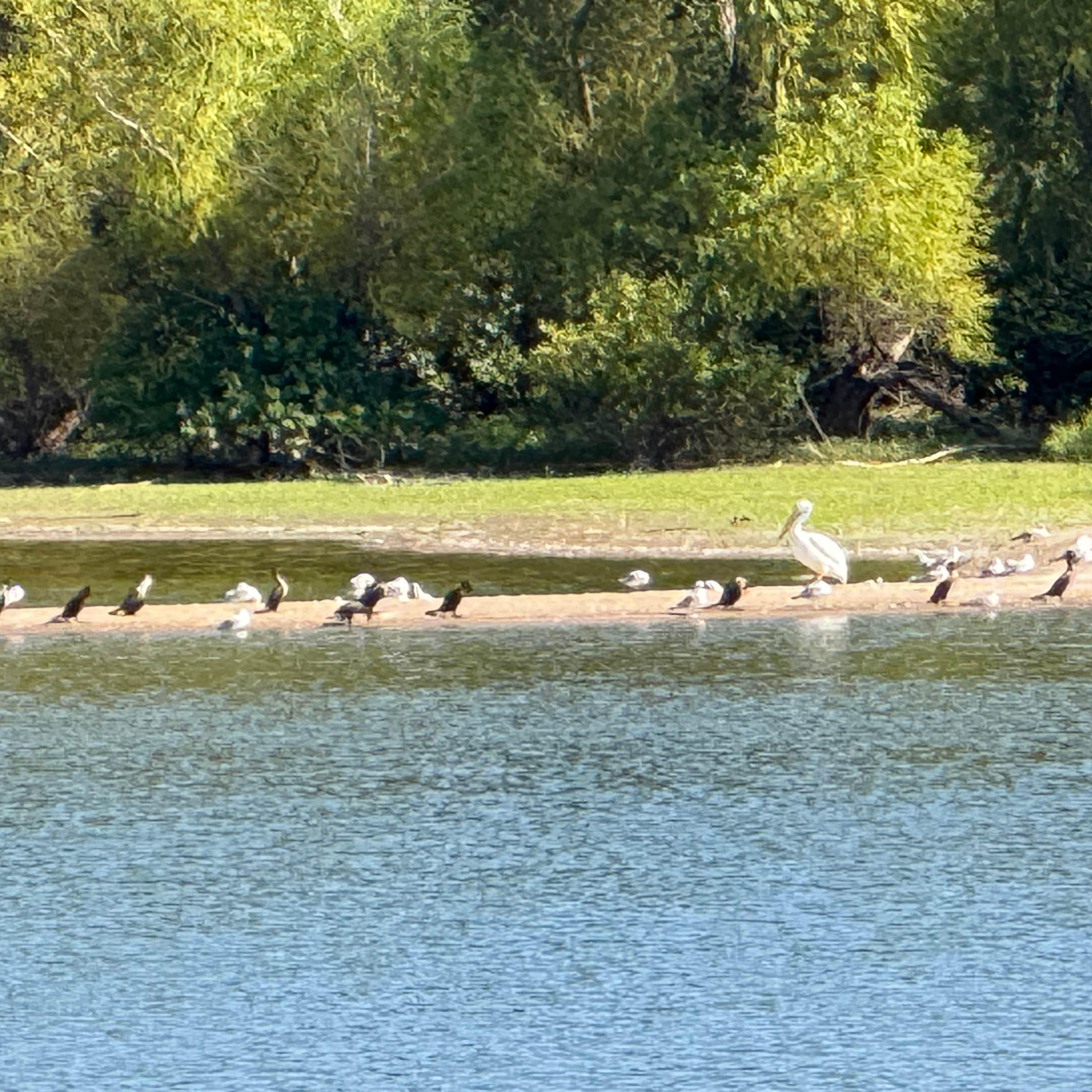 Dam West Campground | Carlyle, Illinois