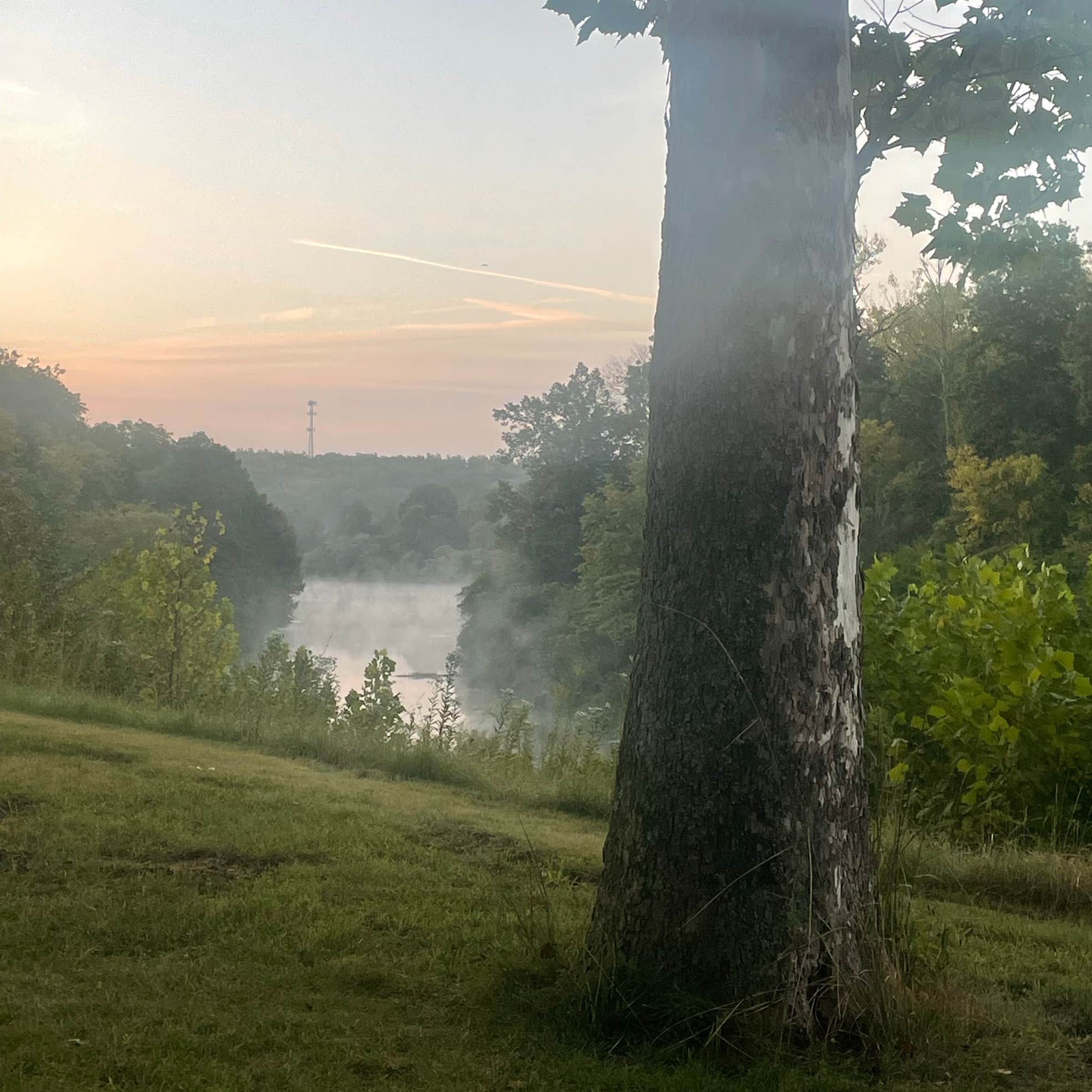 Kickapoo State Recreation Area Camping | Oakwood, Illinois