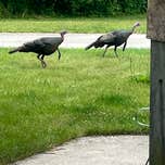 Rock Cut State Park Campground | Loves Park, IL