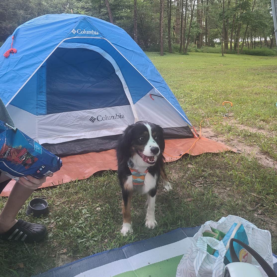 Sam Dale Lake State Conservation Area Camping | Johnsonville, Illinois