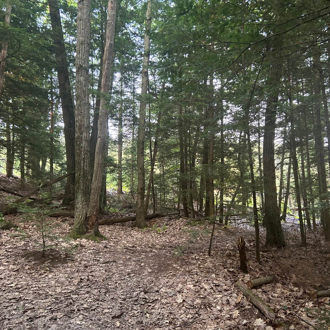 Indian Brook Reservoir Camping | Essex Junction, Vermont