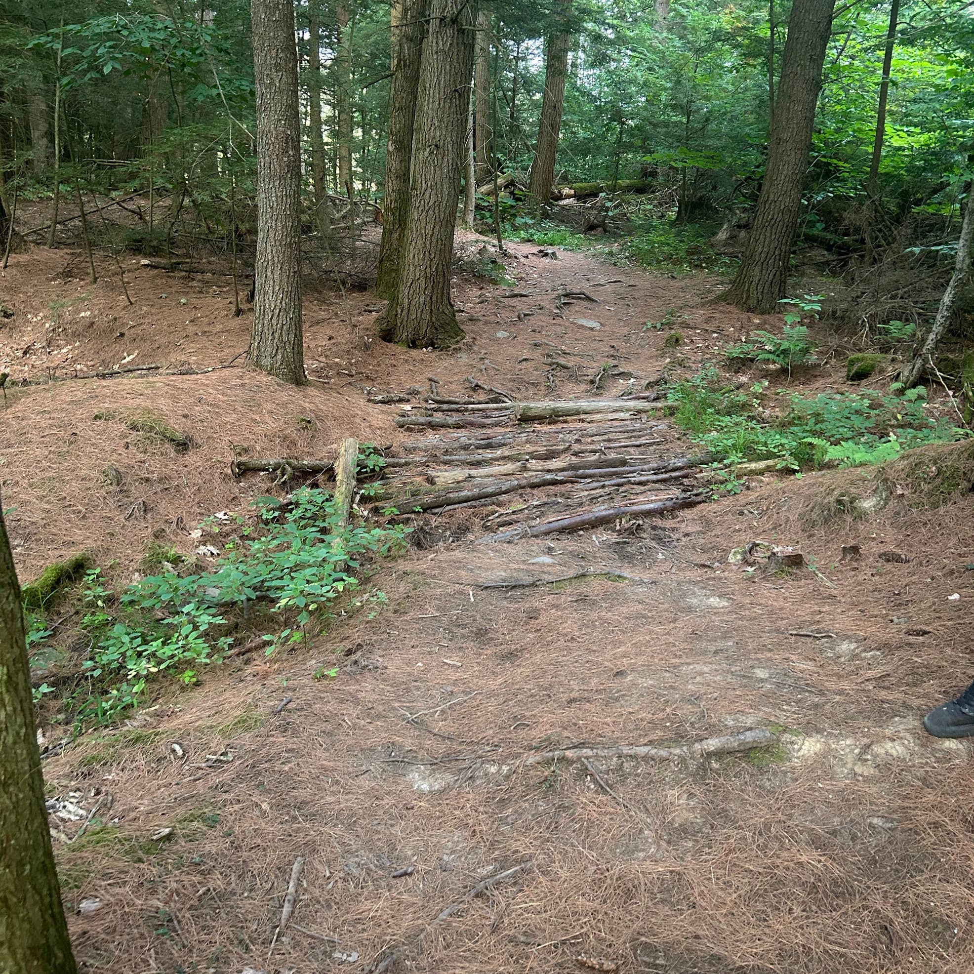 Indian Brook Reservoir Camping | Essex Junction, Vermont