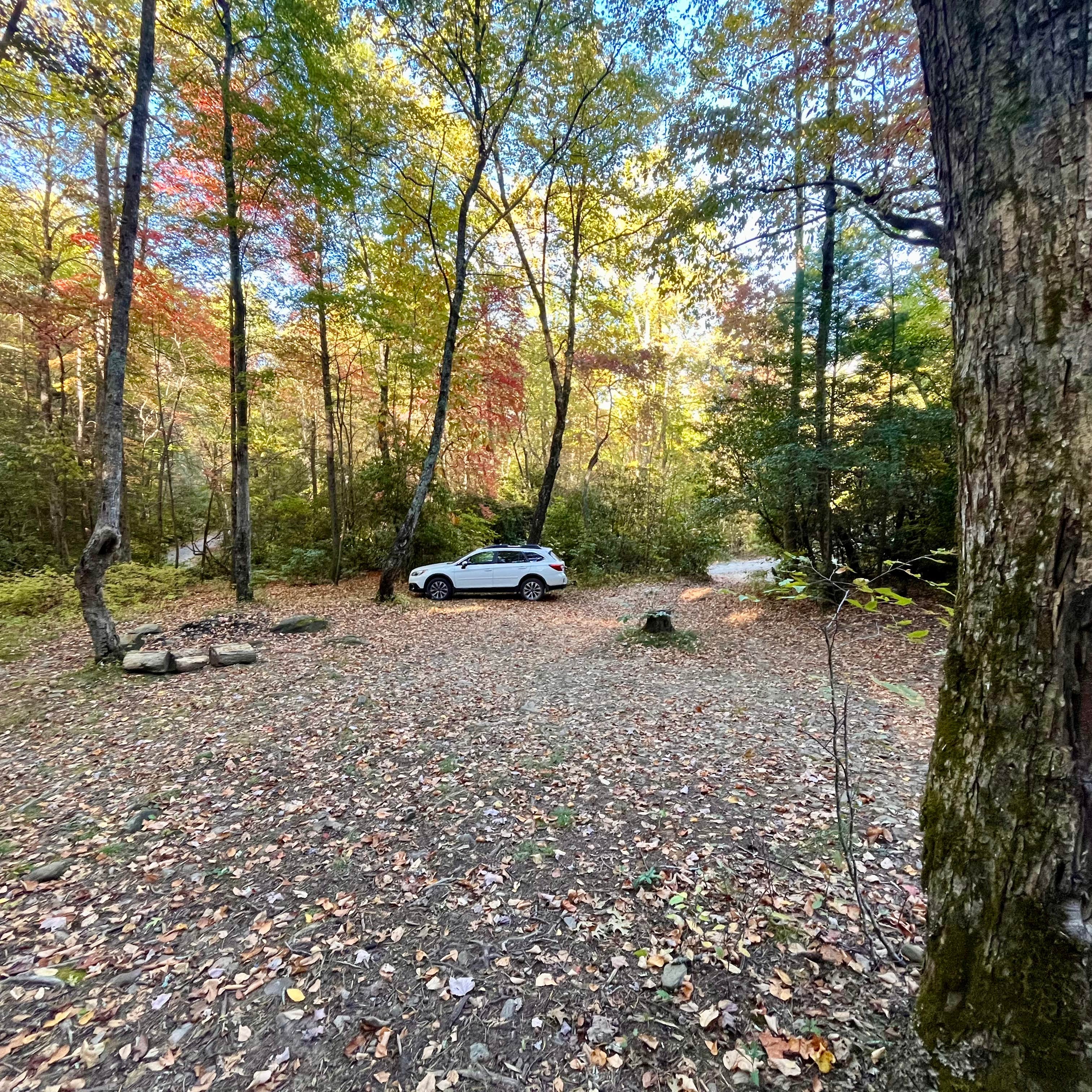 Indian Grave Gap Campsite | Helen, Georgia