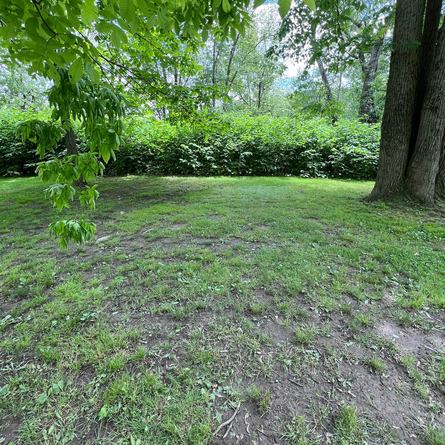 Indian Head Campground | Catawissa, Pennsylvania