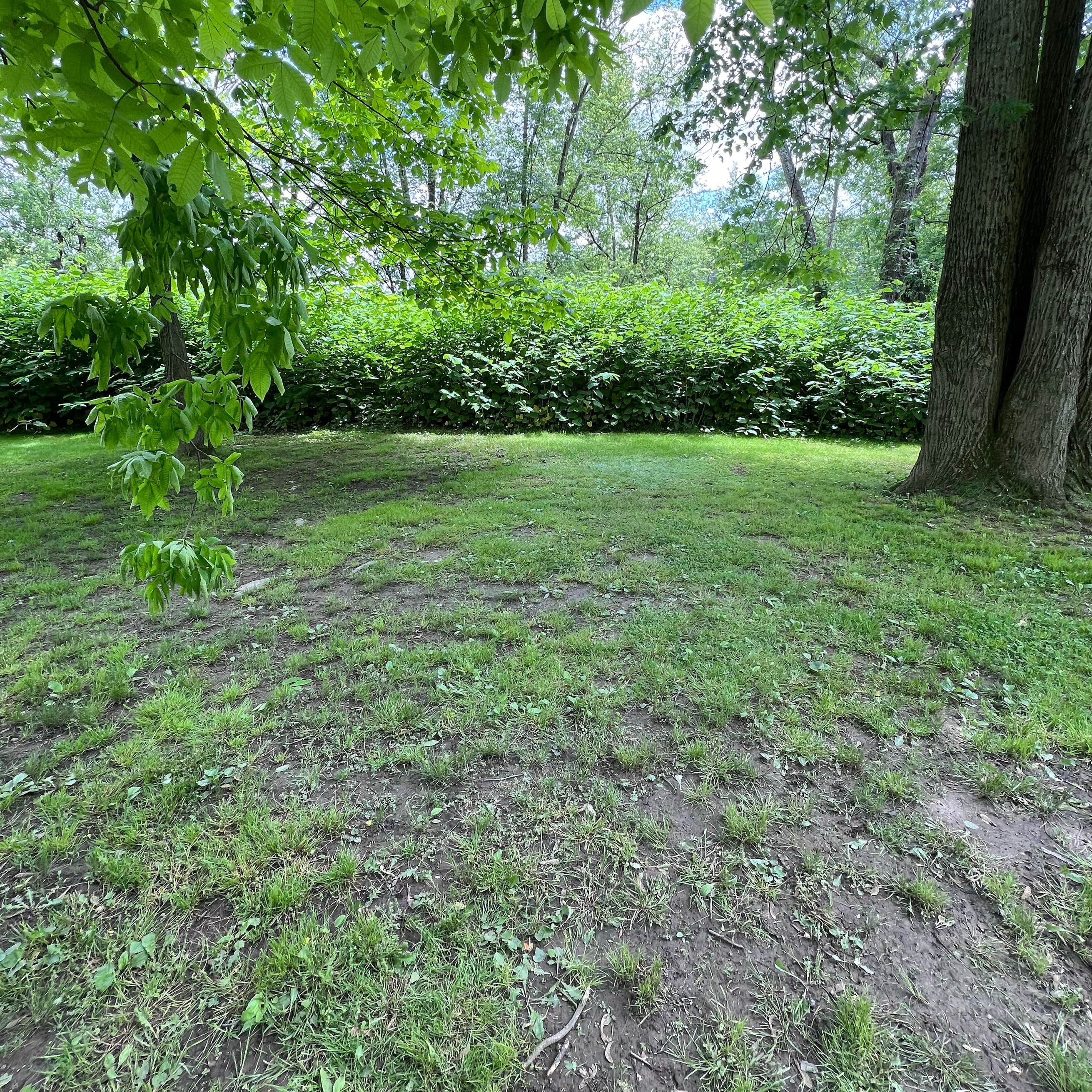 Indian Head Campground | Catawissa, Pennsylvania