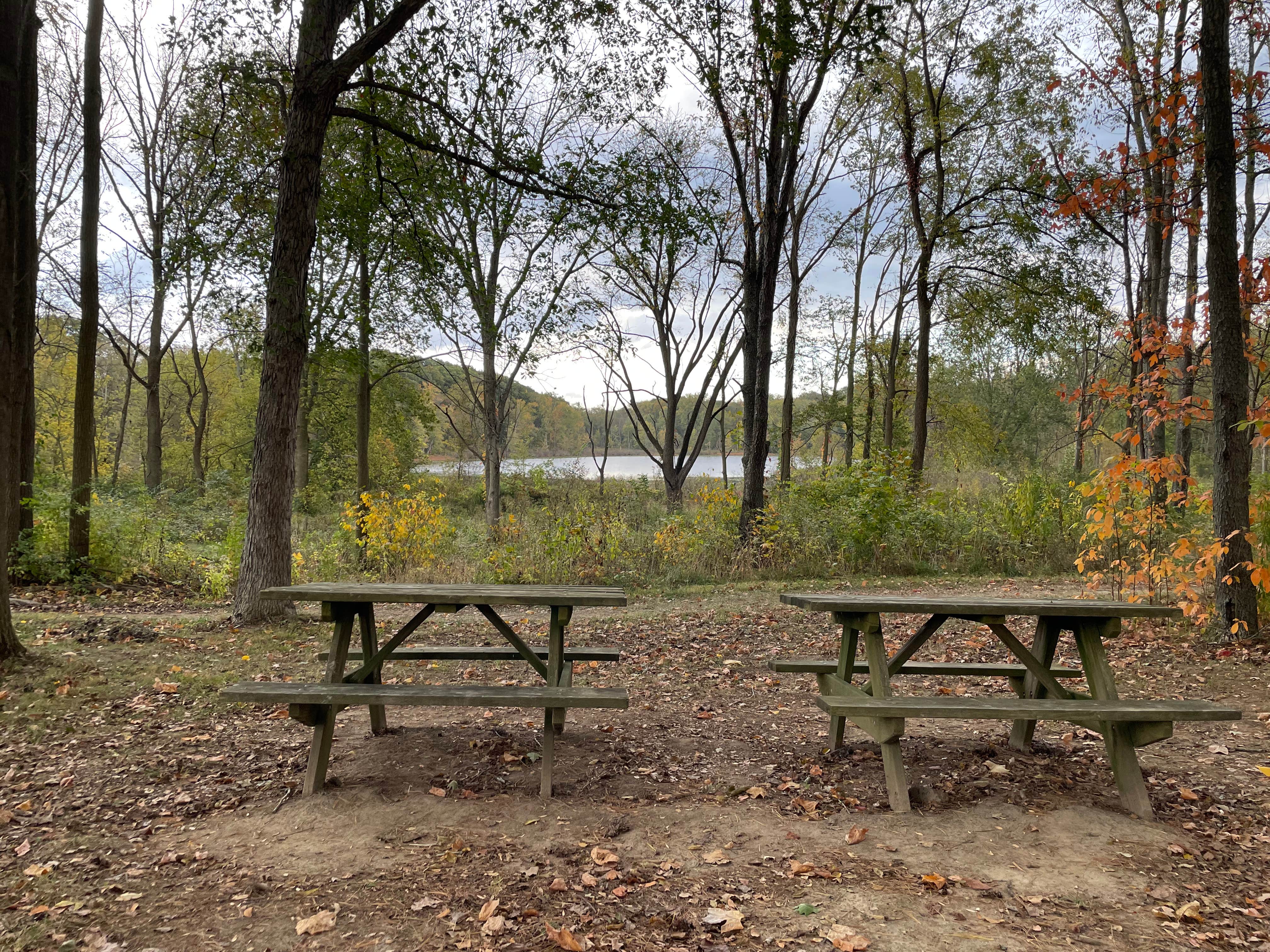 Chain O Lakes State Park Campground Albion Indiana
