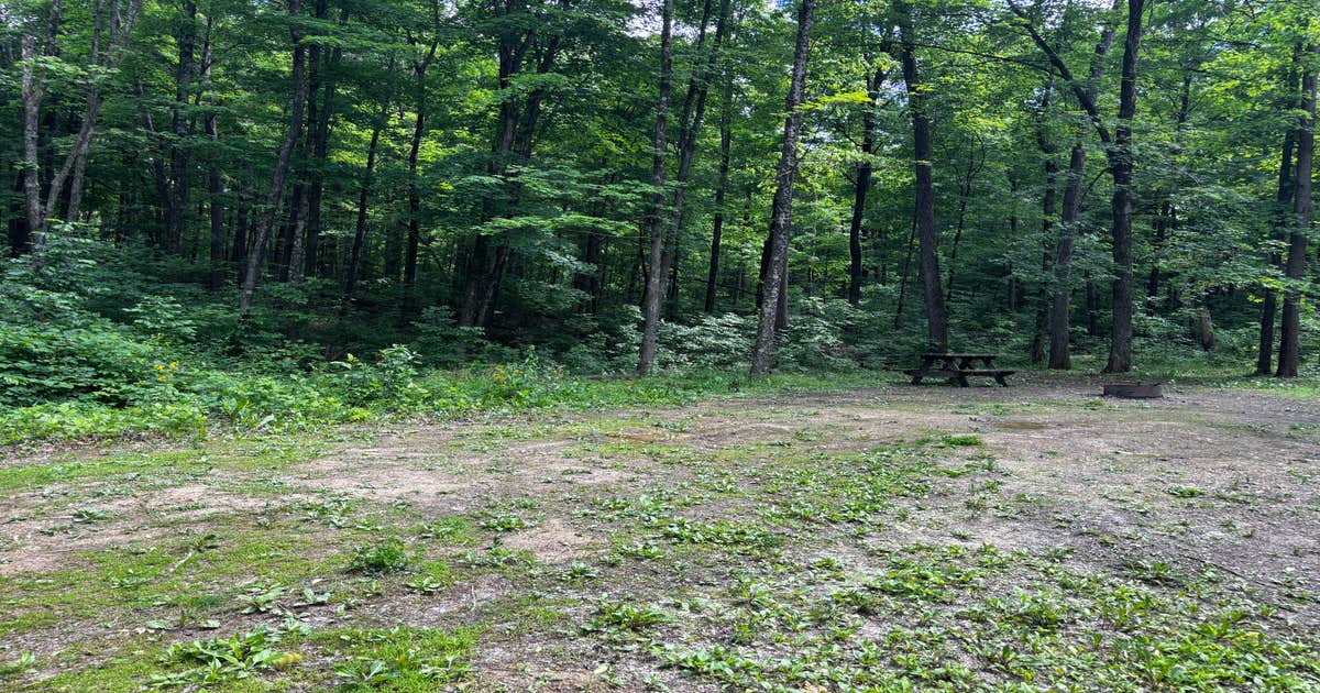 Clark State Forest Camping | Borden, Indiana